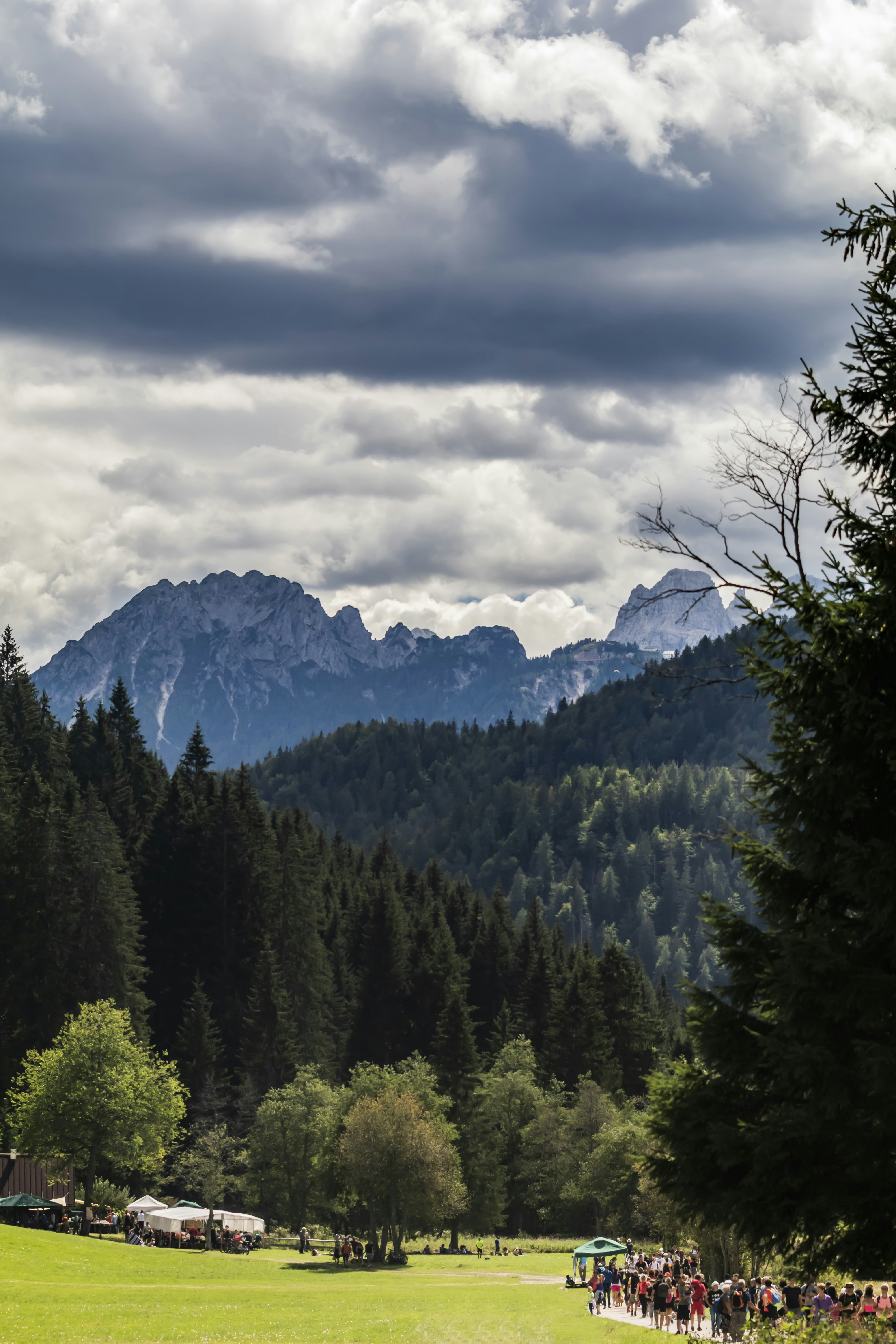 Between Peaks and People: A Sunlit Alpine Meadow