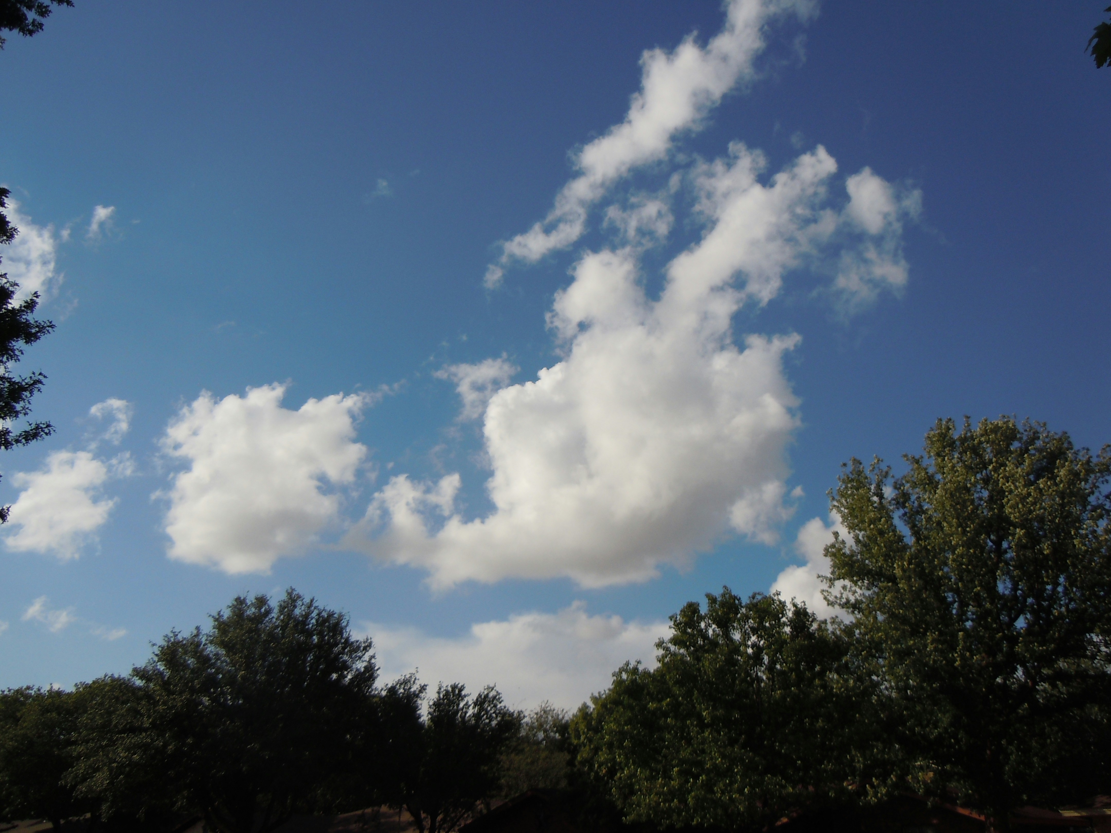 Sample photo from Nikon COOLPIX S8000