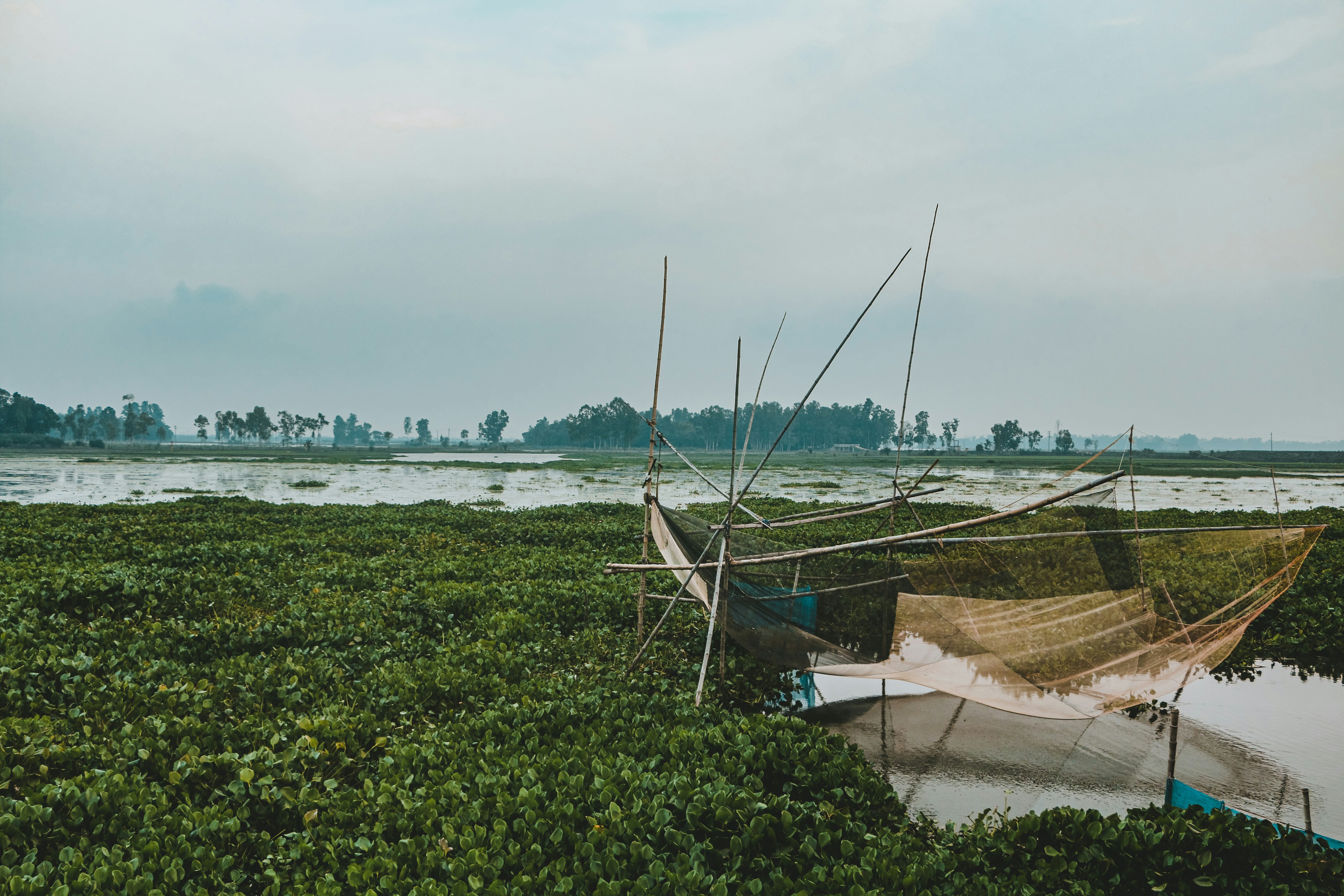 A boat in a field photo – Free Chuar para Image on Unsplash