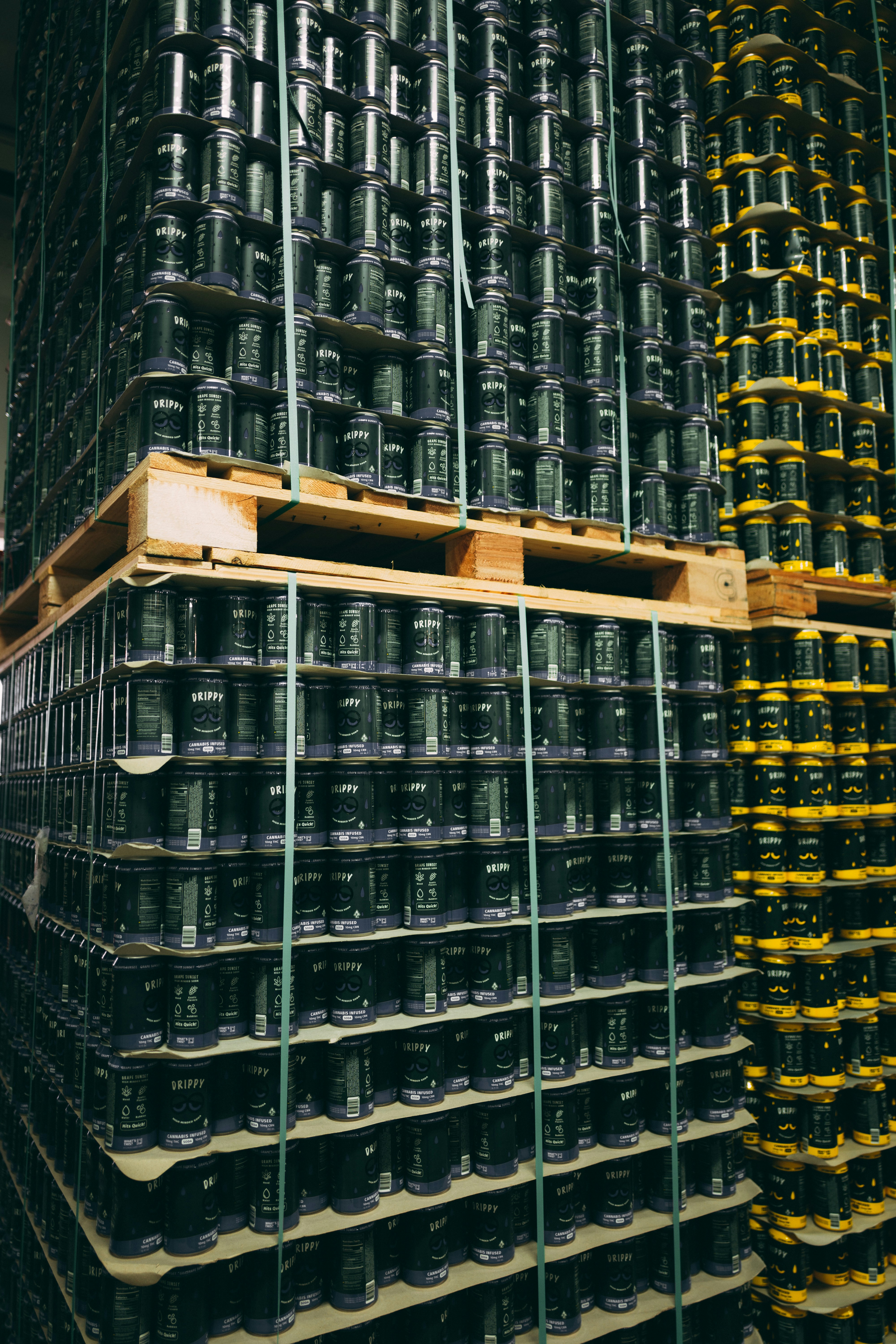 A large group of computer servers photo – Free Weed Image on Unsplash