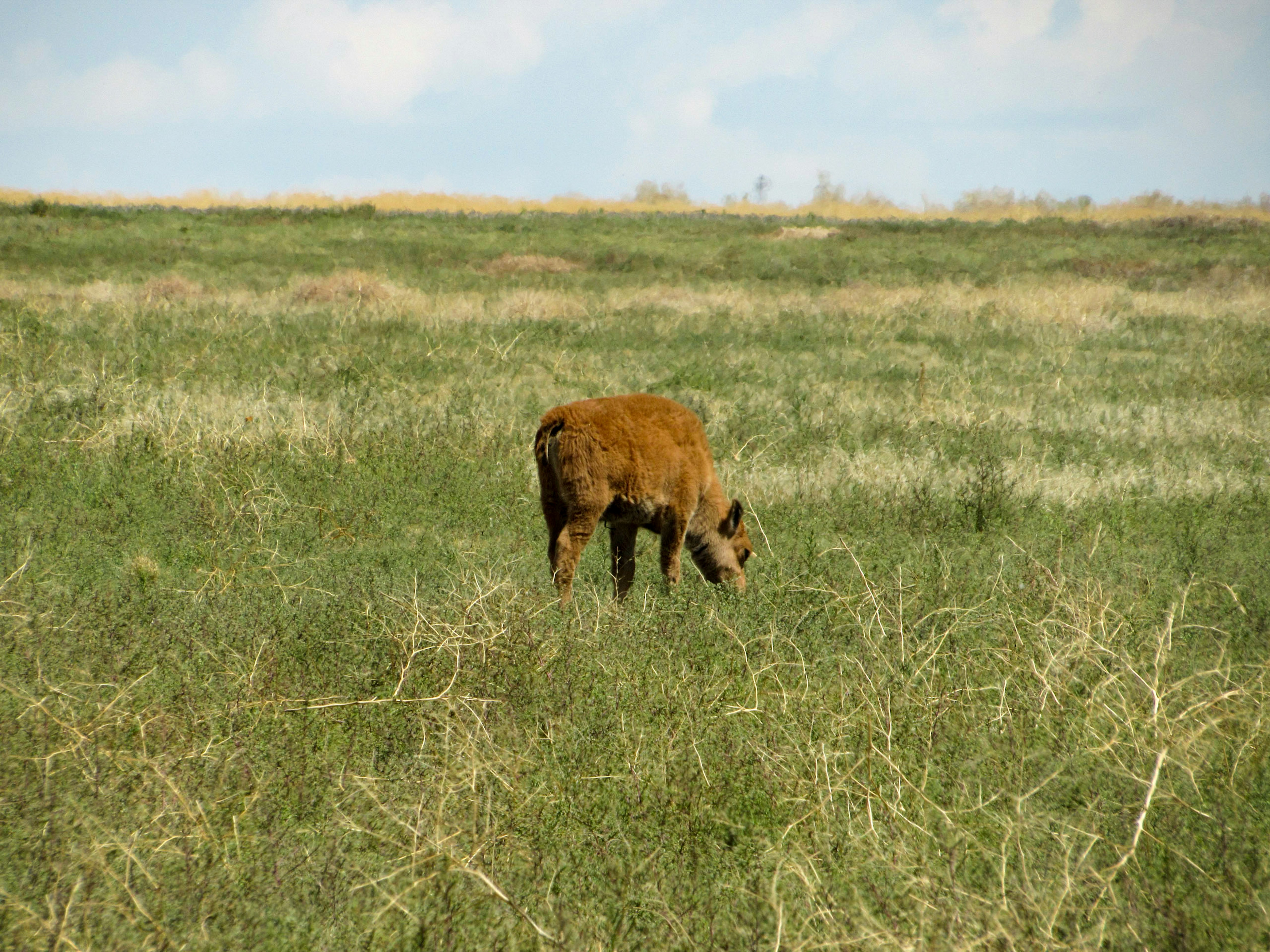 Photo by Rose Gills with Canon PowerShot SX530 HS