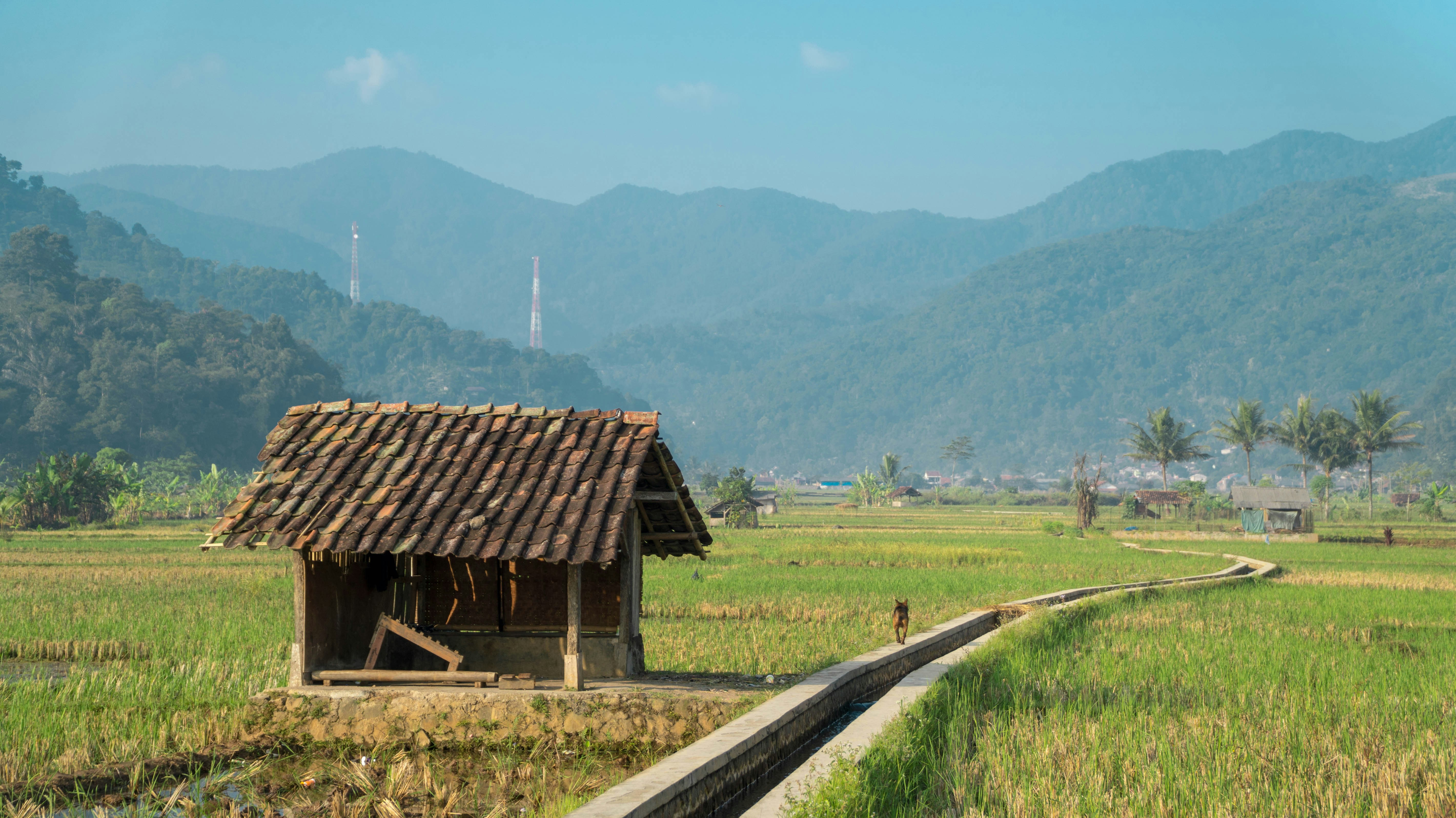 A small shack on a train track photo – Free Indonesia Image on Unsplash