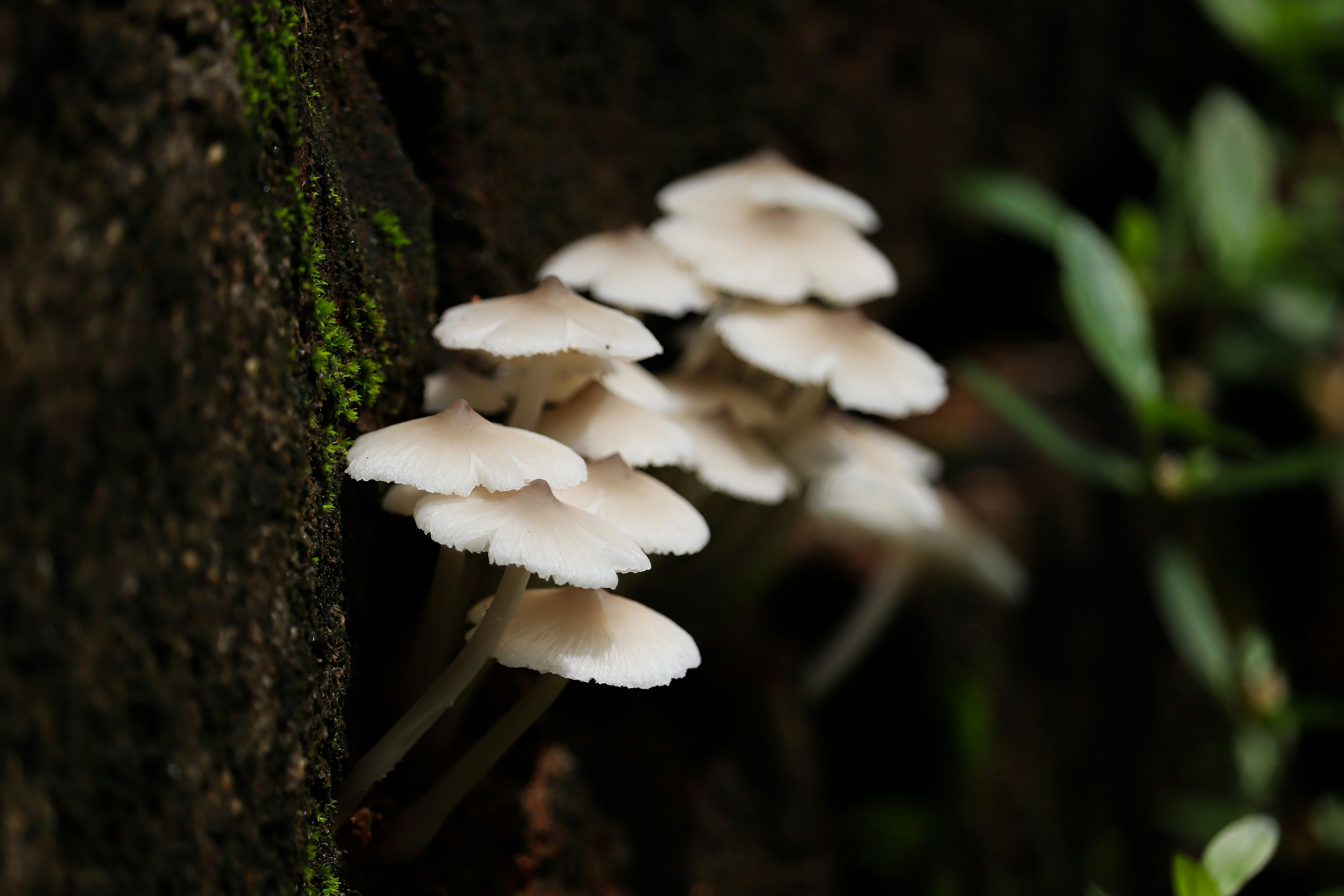 People Growth Pictures | Download Free Images on Unsplash