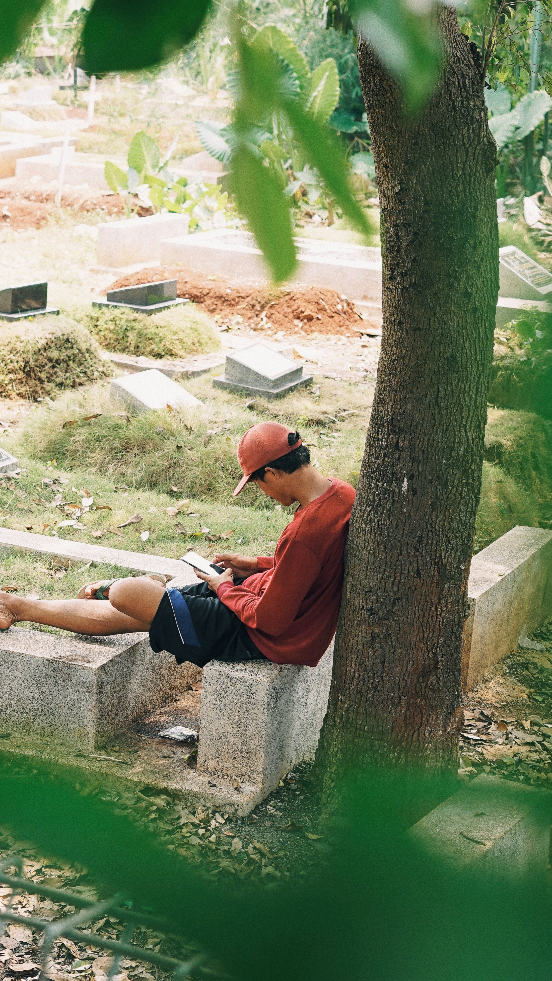 Red-Cap Focus: a Quiet Tablet Moment by the Cemetery Bench
