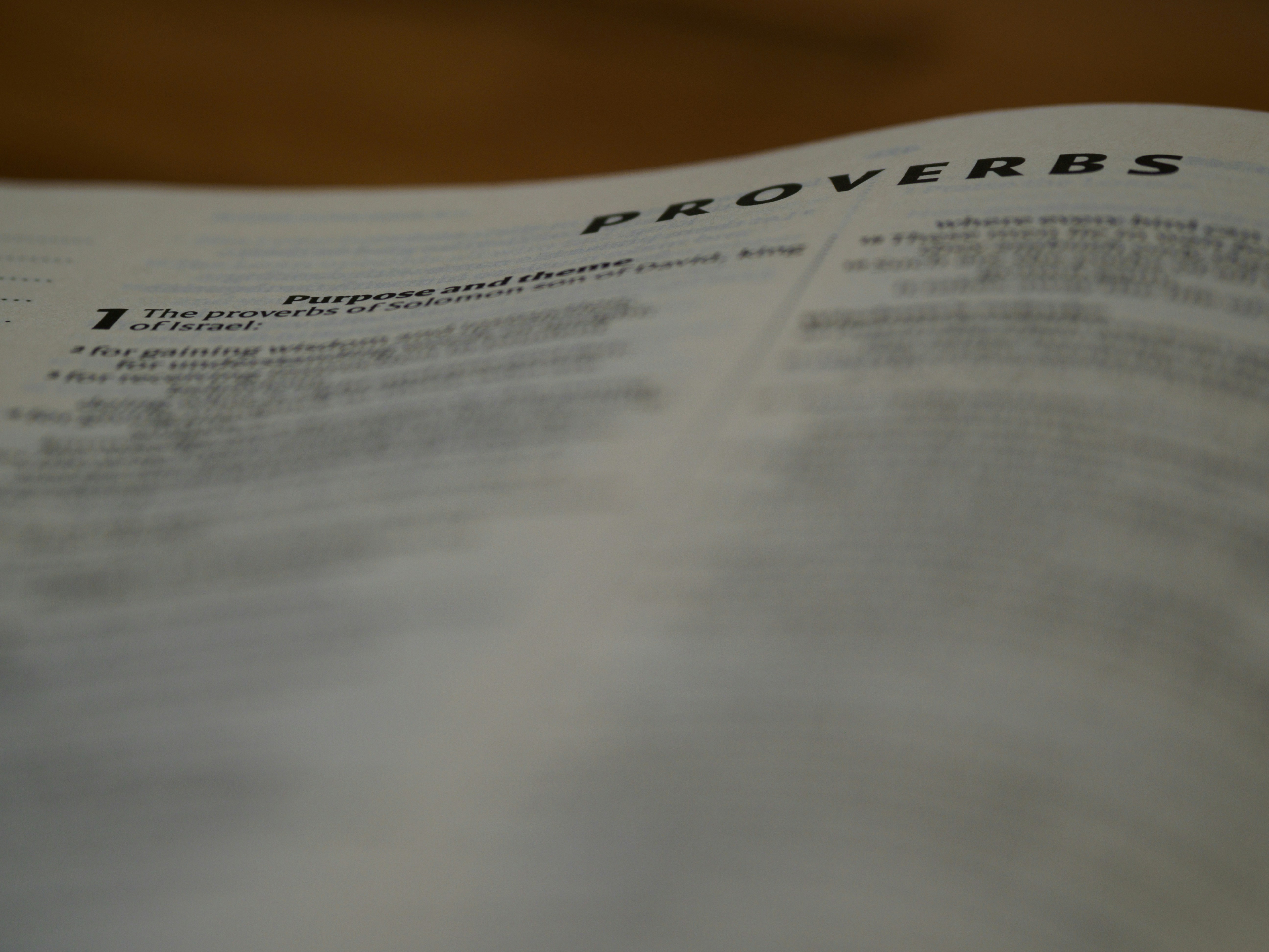 A close-up of a document photo – Free Text Image on Unsplash