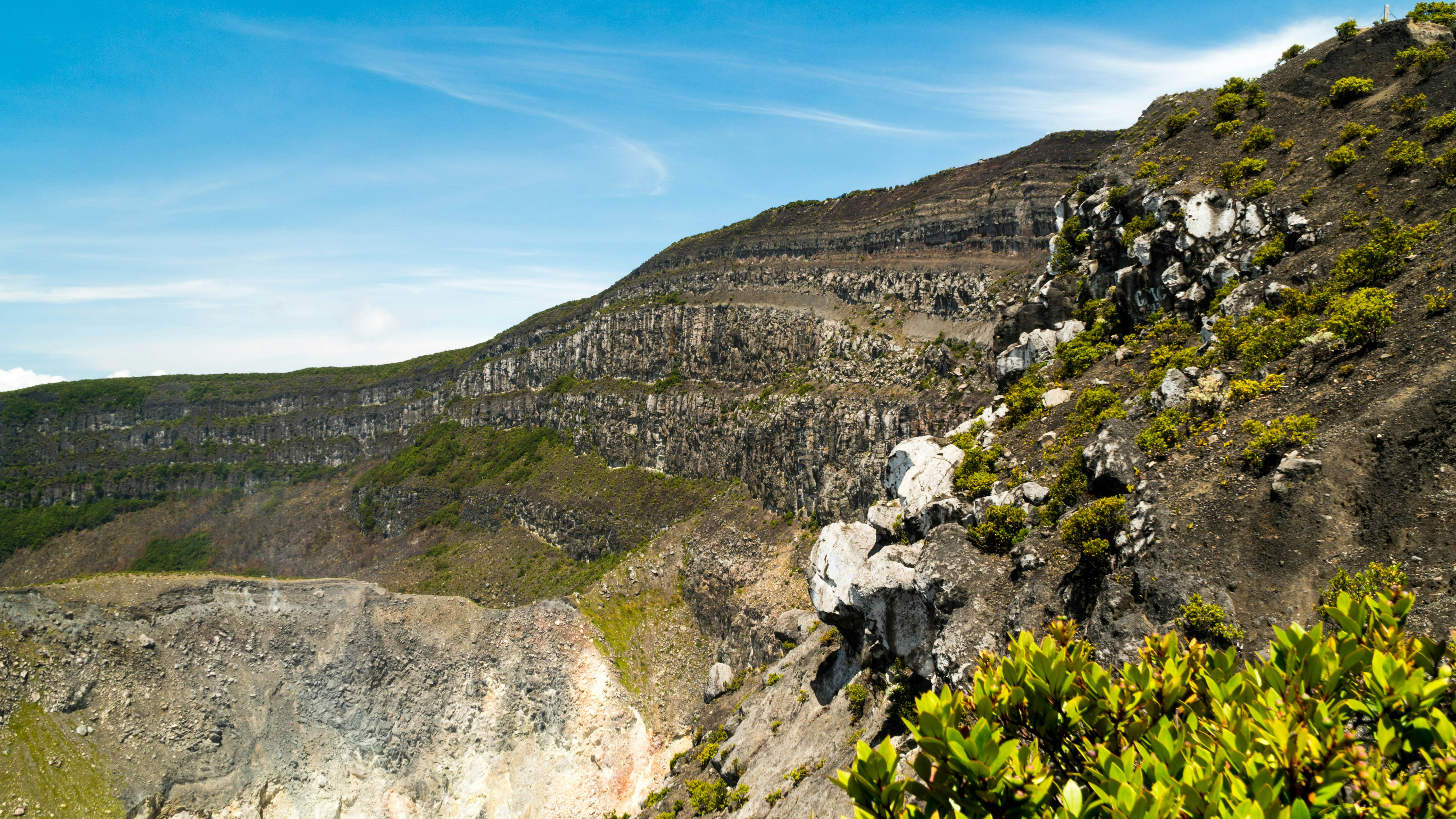 a rocky hillside with plants and rocks
