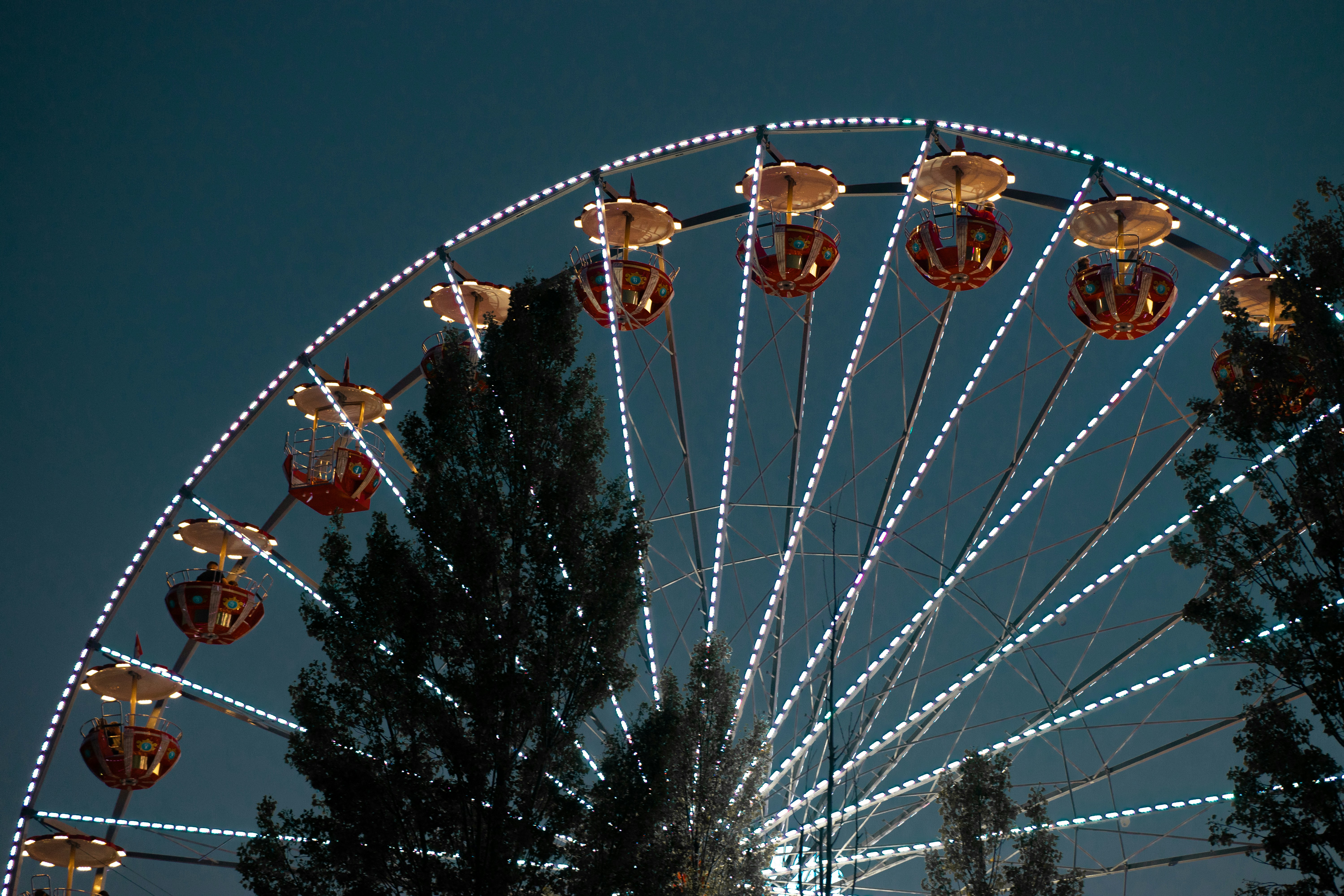 Glowing Ring Over Silent Pines: A Night Ferris Wheel Portrait
