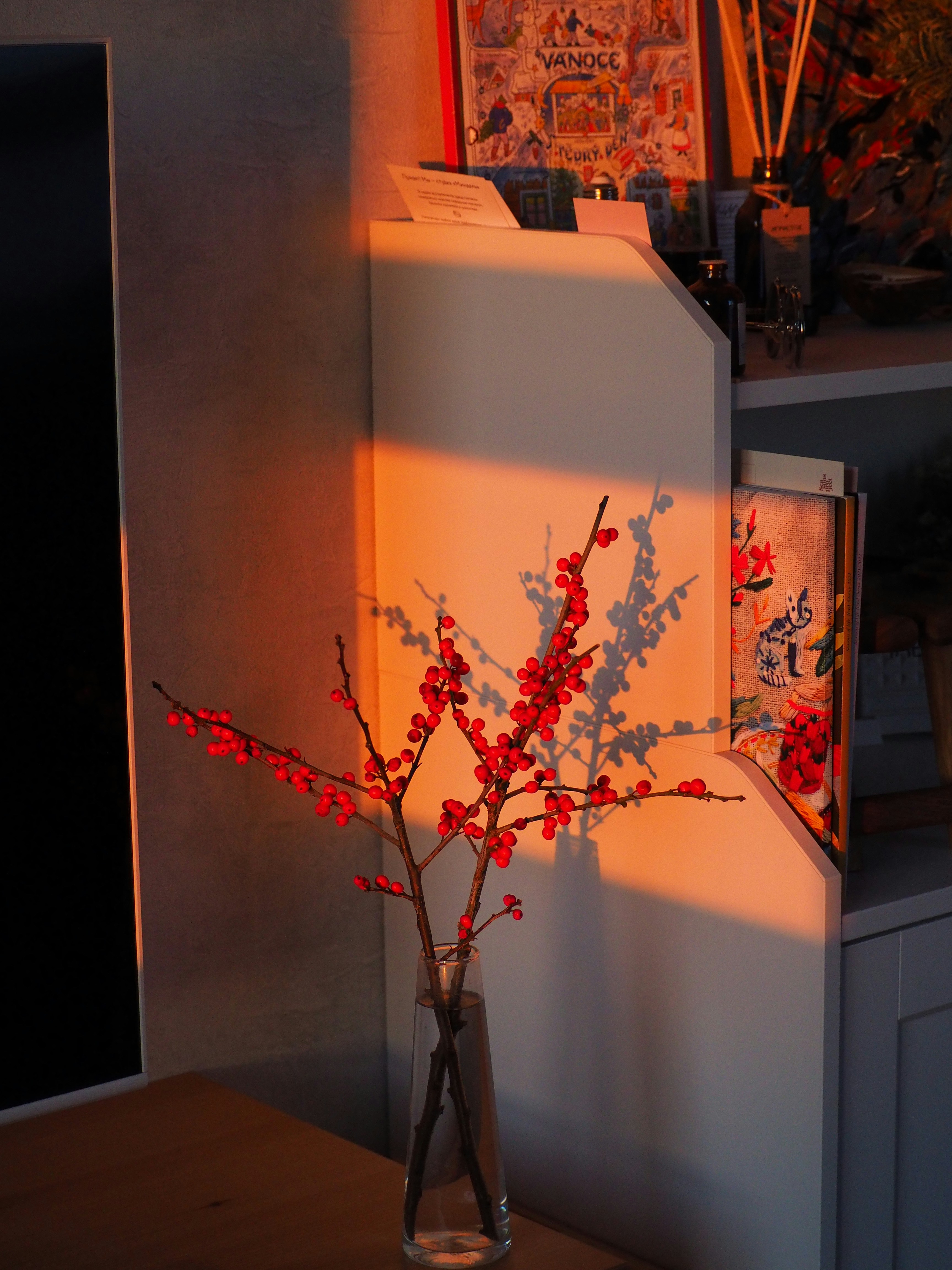 Snowberry morning still life