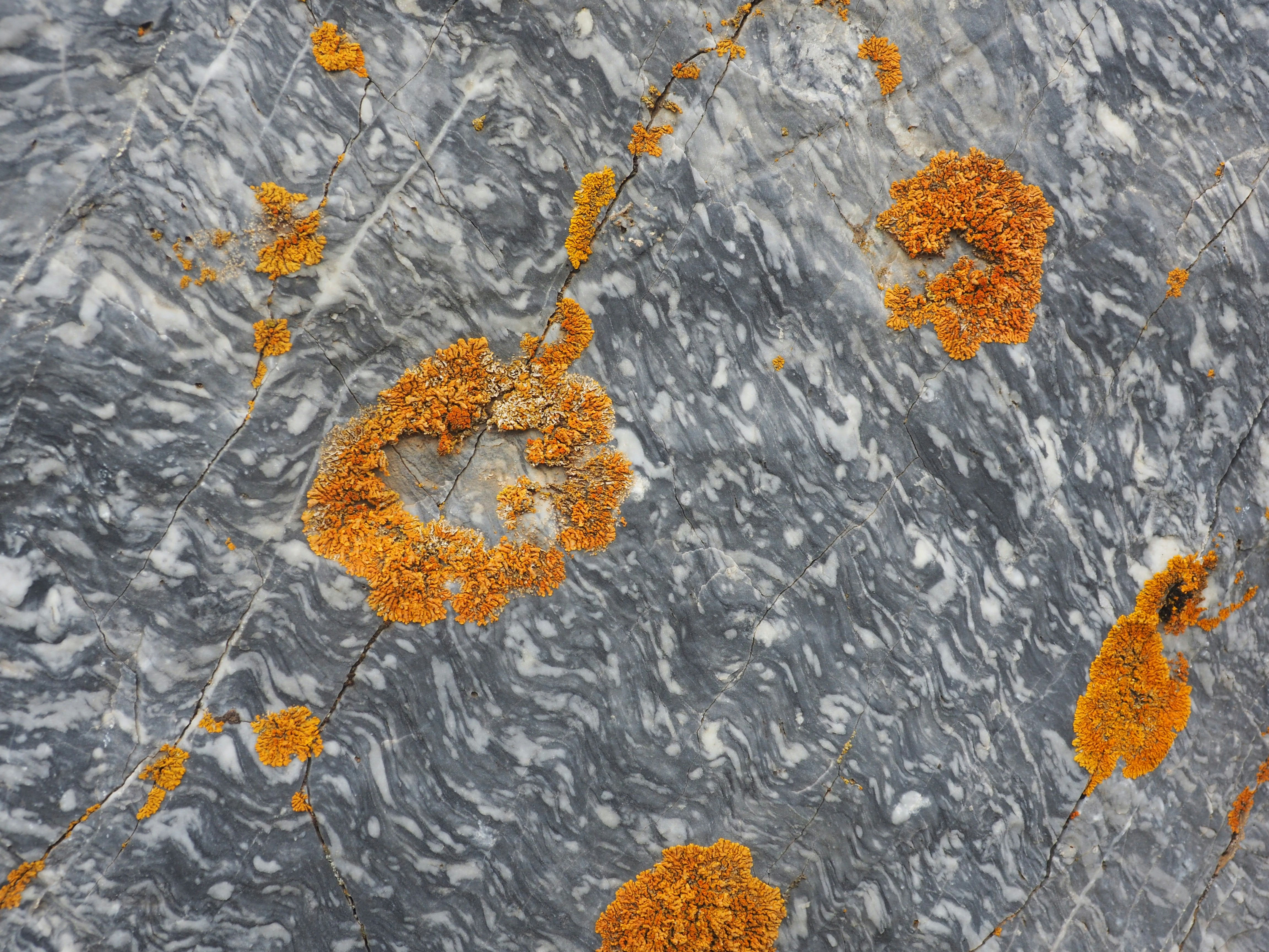 Photo by thomas Lopez with Olympus OM-D E-M10 Mark II