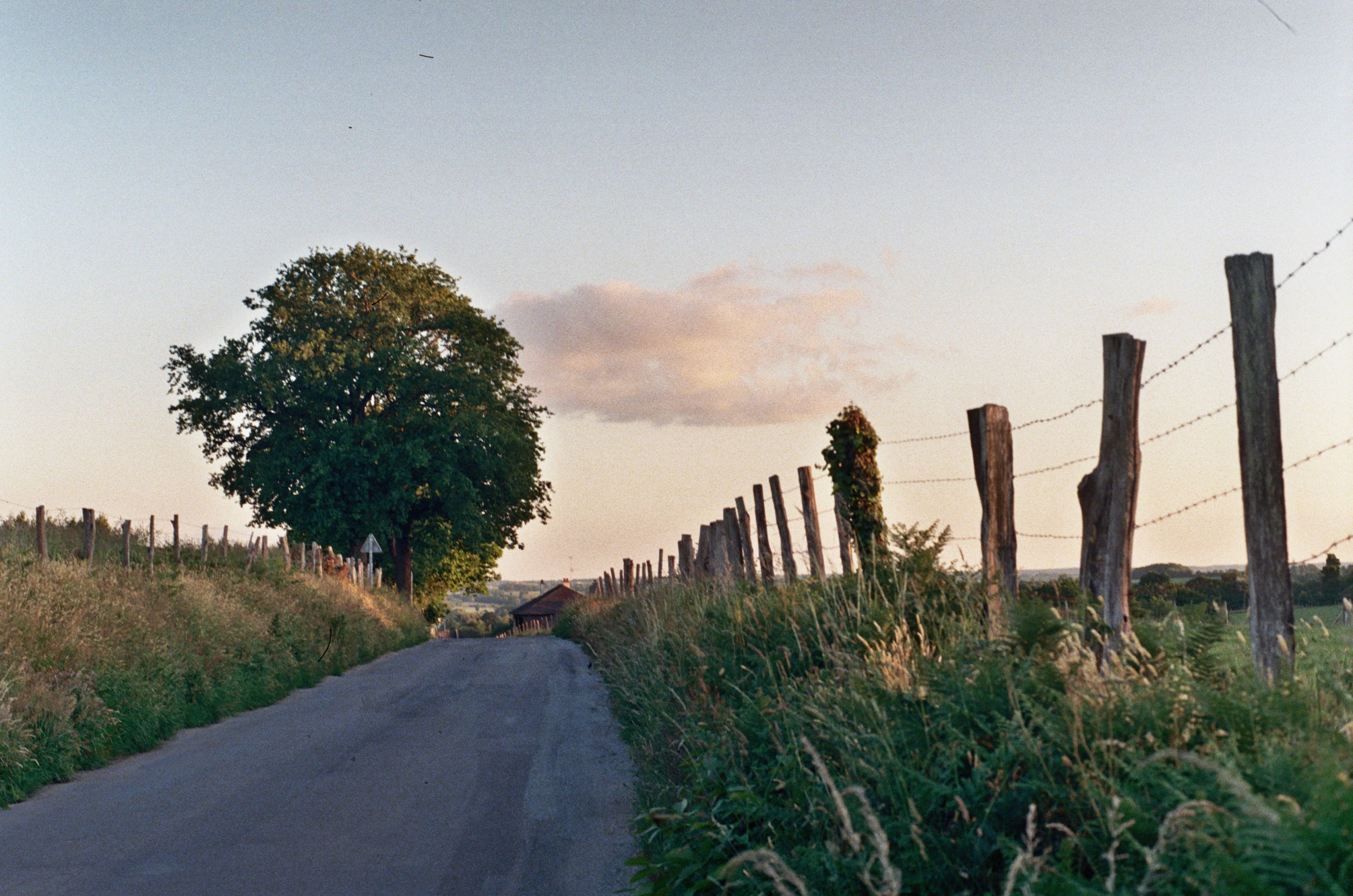 Photograph of a rural road flanked by weathered wooden fences and tall grasses, leading to a lone tree beneath a warm sunset.