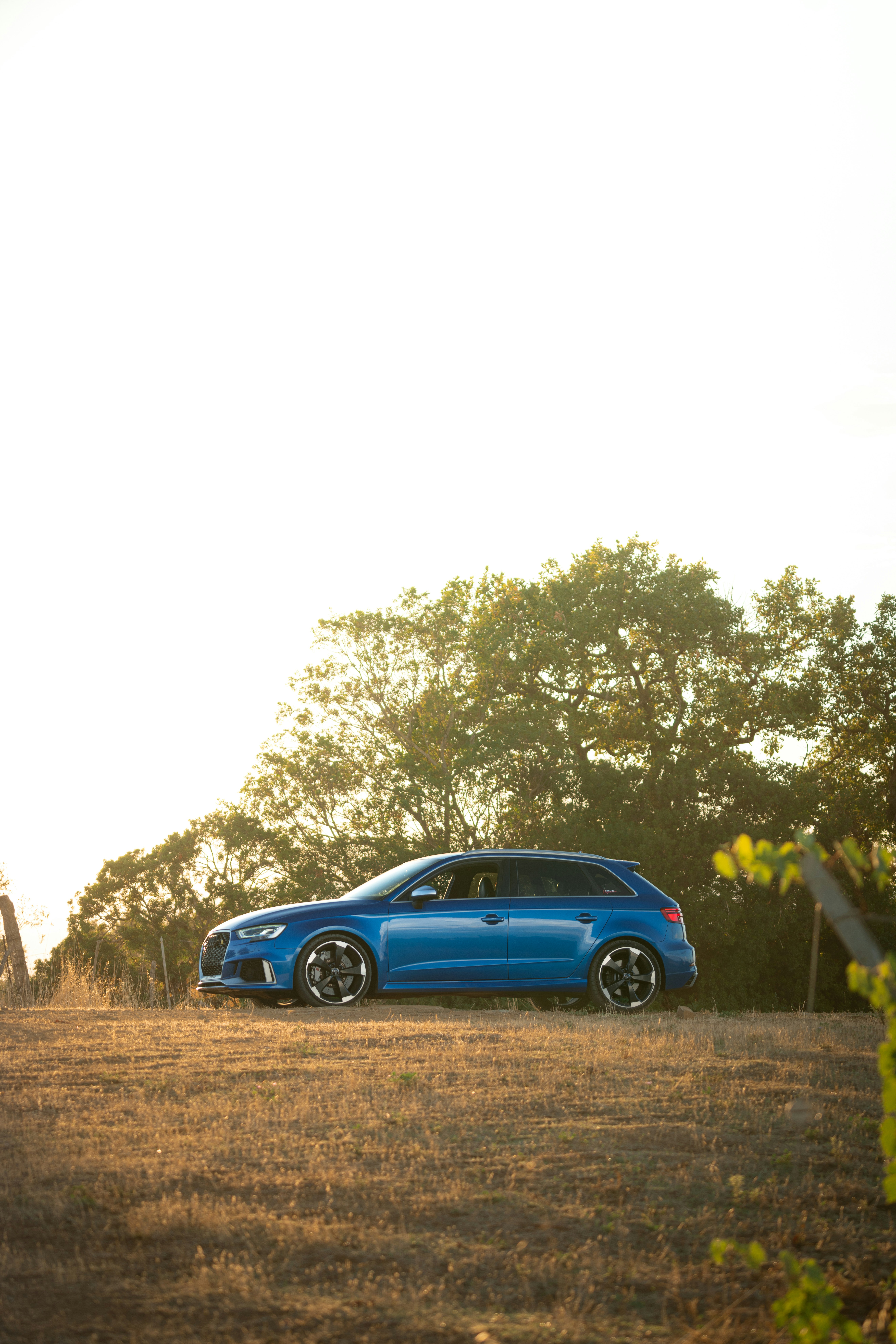 Blue hatchback at golden hour: a quiet field scene framed by distant trees
