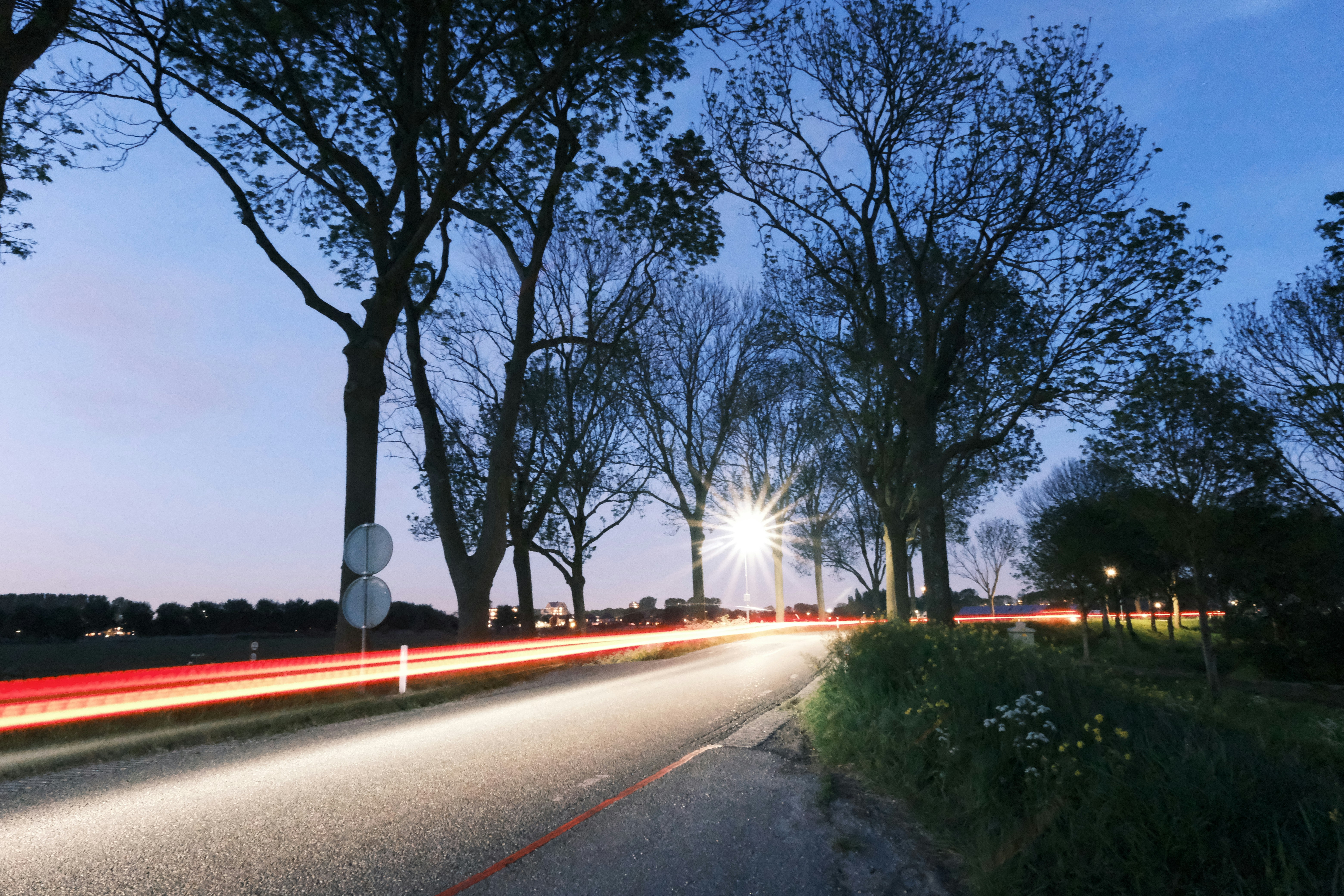 Long exposure shot capturing the movement of vehicle lights along a tree-lined road at dusk, with a glowing horizon in the background.