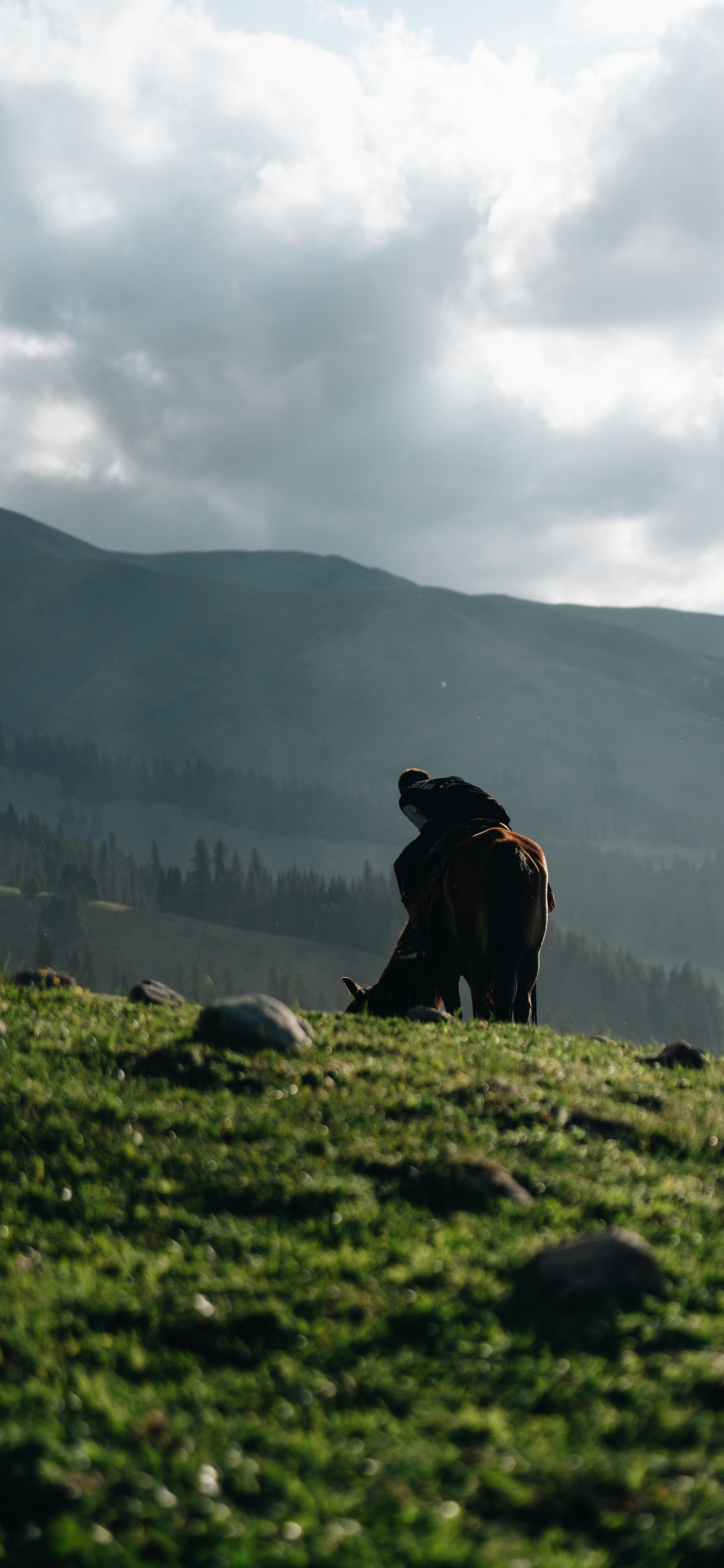 Ridge Reverie: A Lone Rider Pauses with Horse under Clouded Skies
