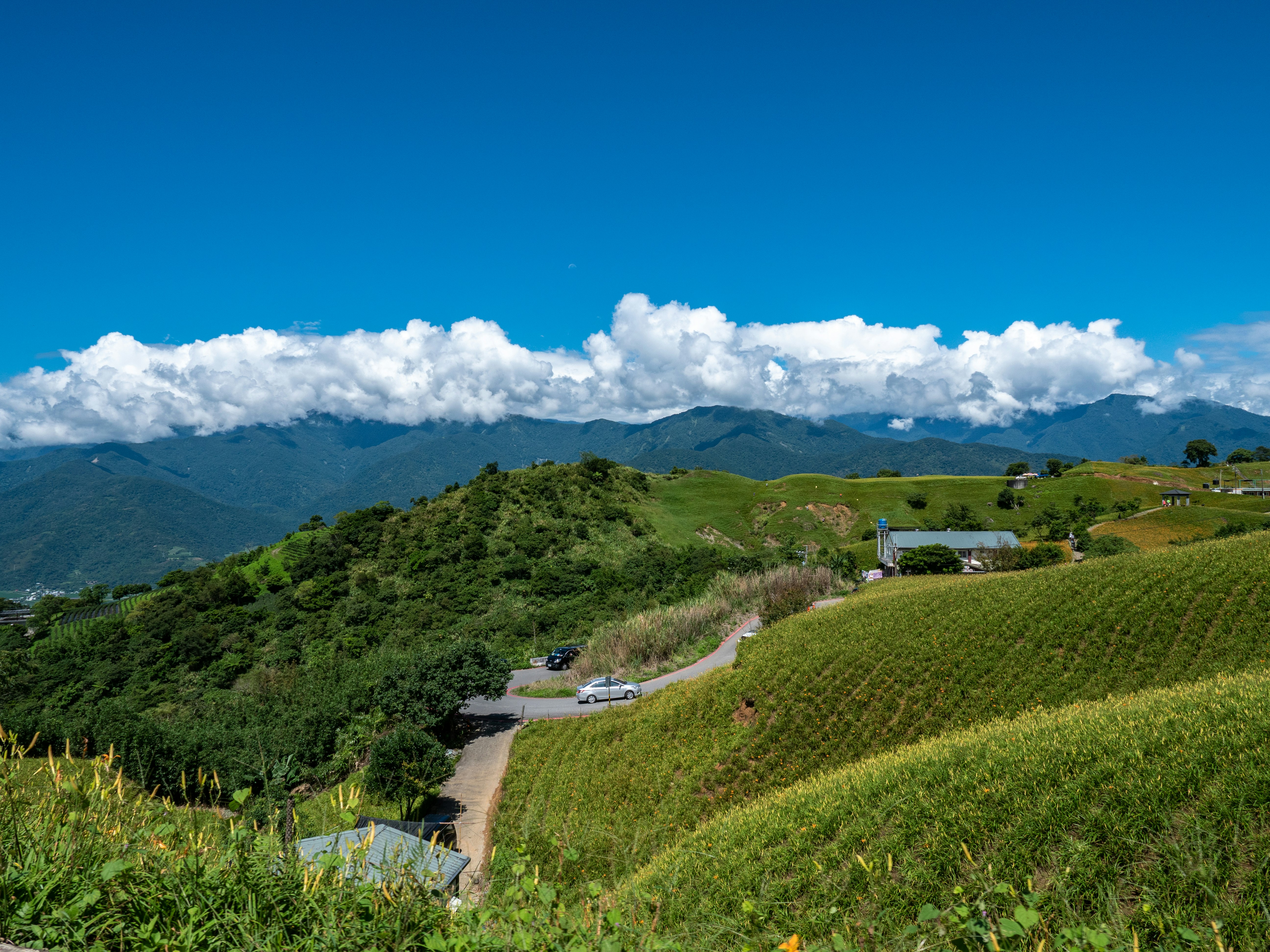 Winding Road through Emerald Terraces Under a Cobalt Sky