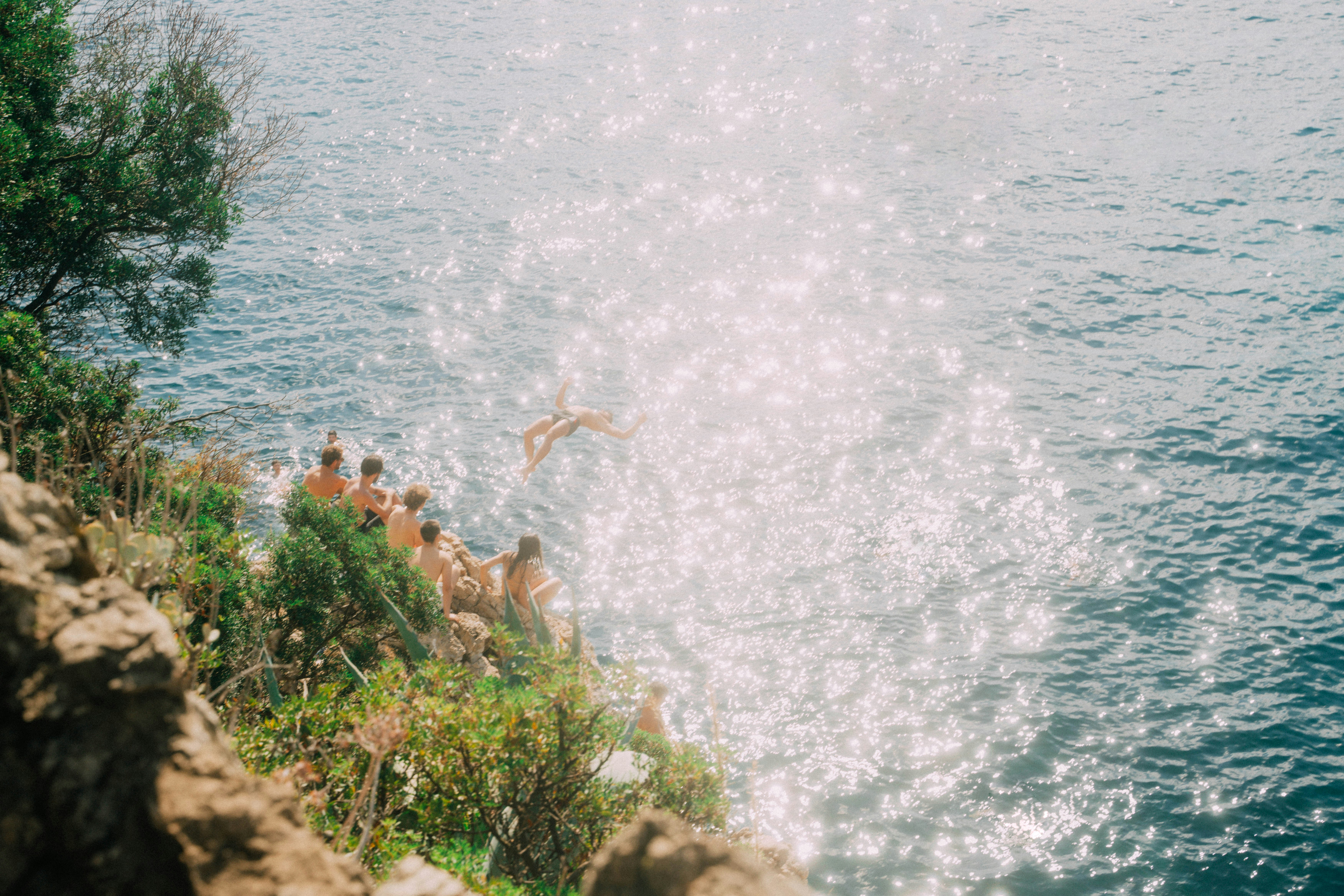 A person diving into a body of water photo – Free Summer beach Image on ...