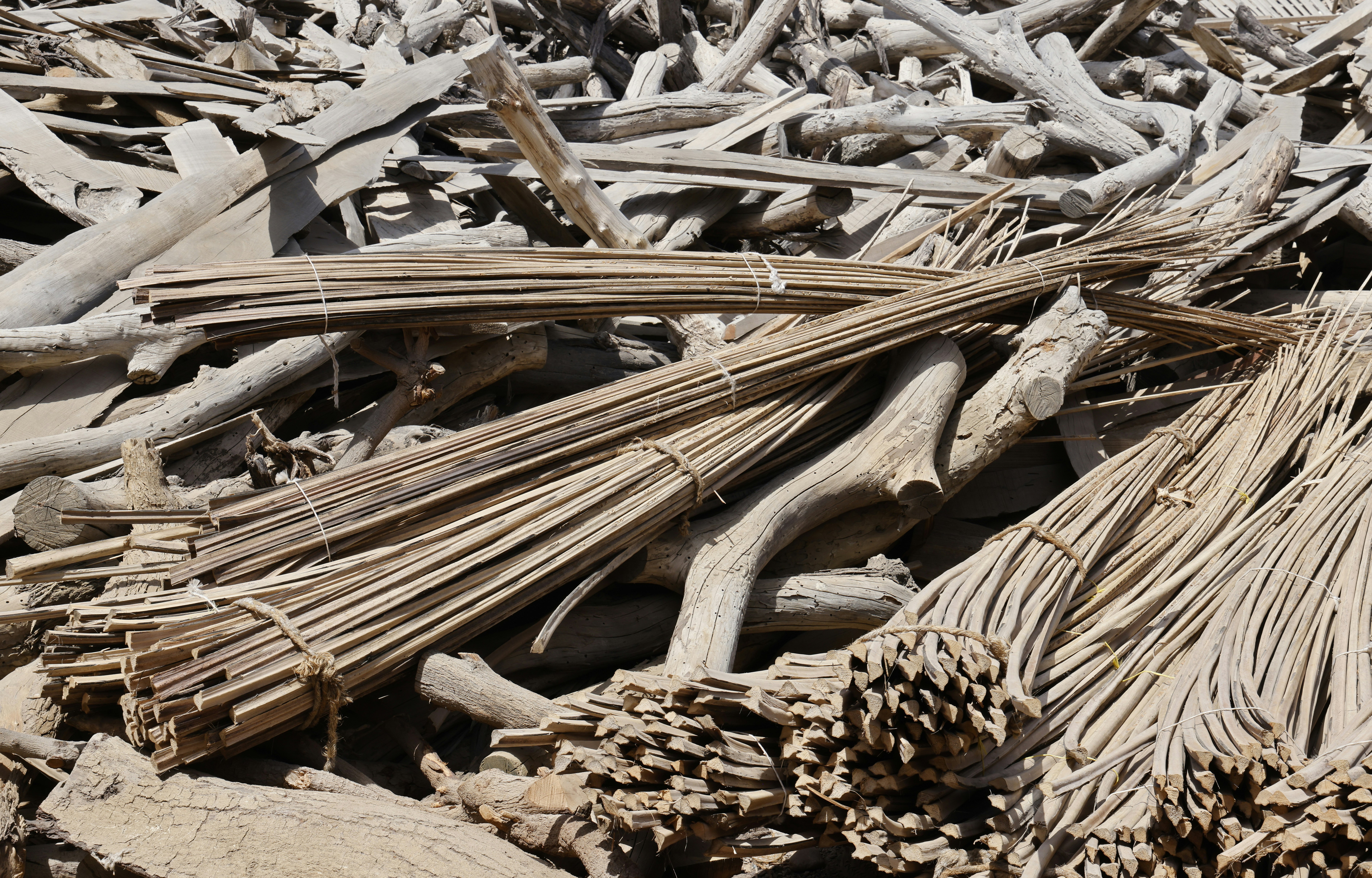 Timber Fractals: Close-Up Textures in a Pile of Wood Debris