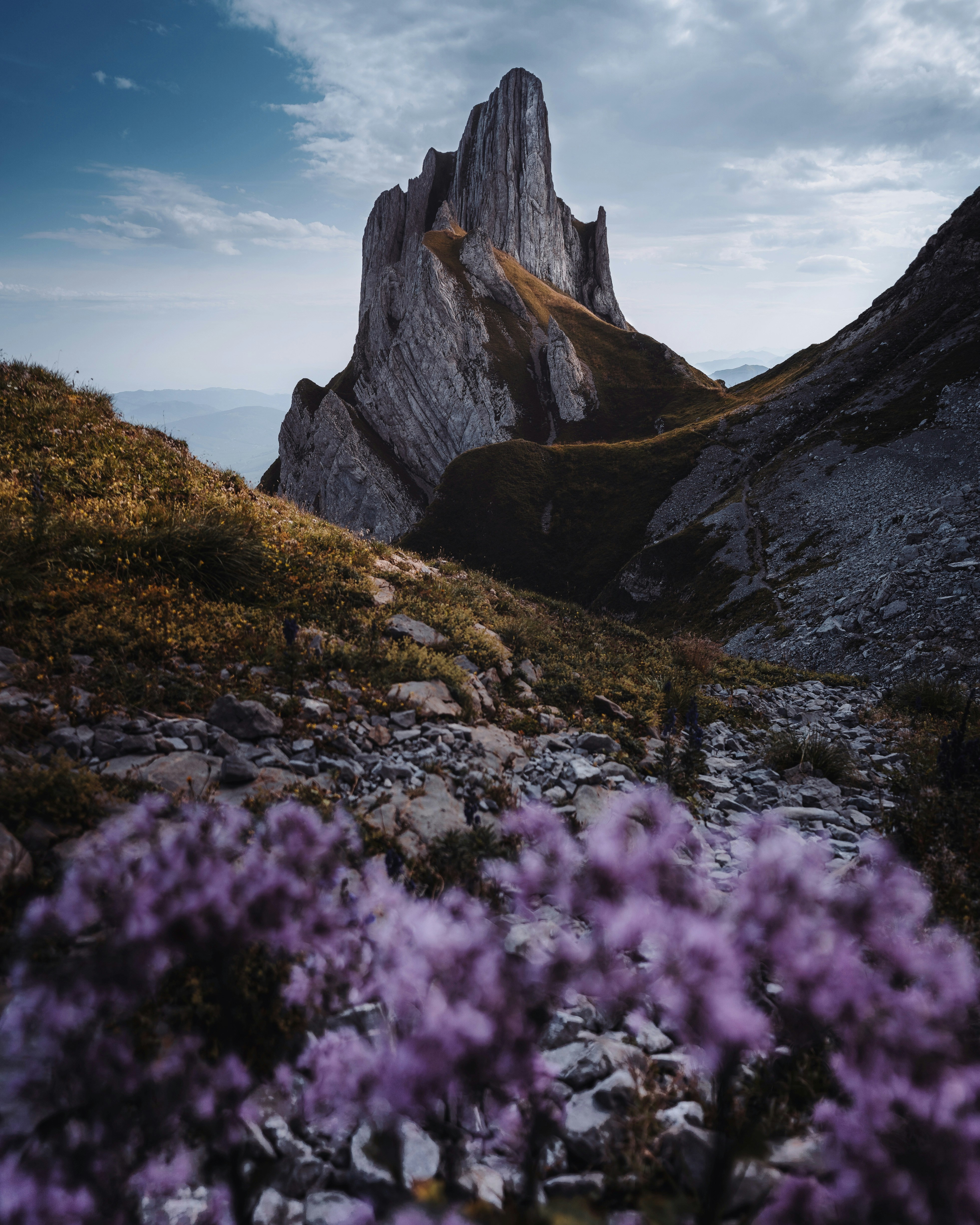 Jagged Summit Framed by Purple Wildflowers