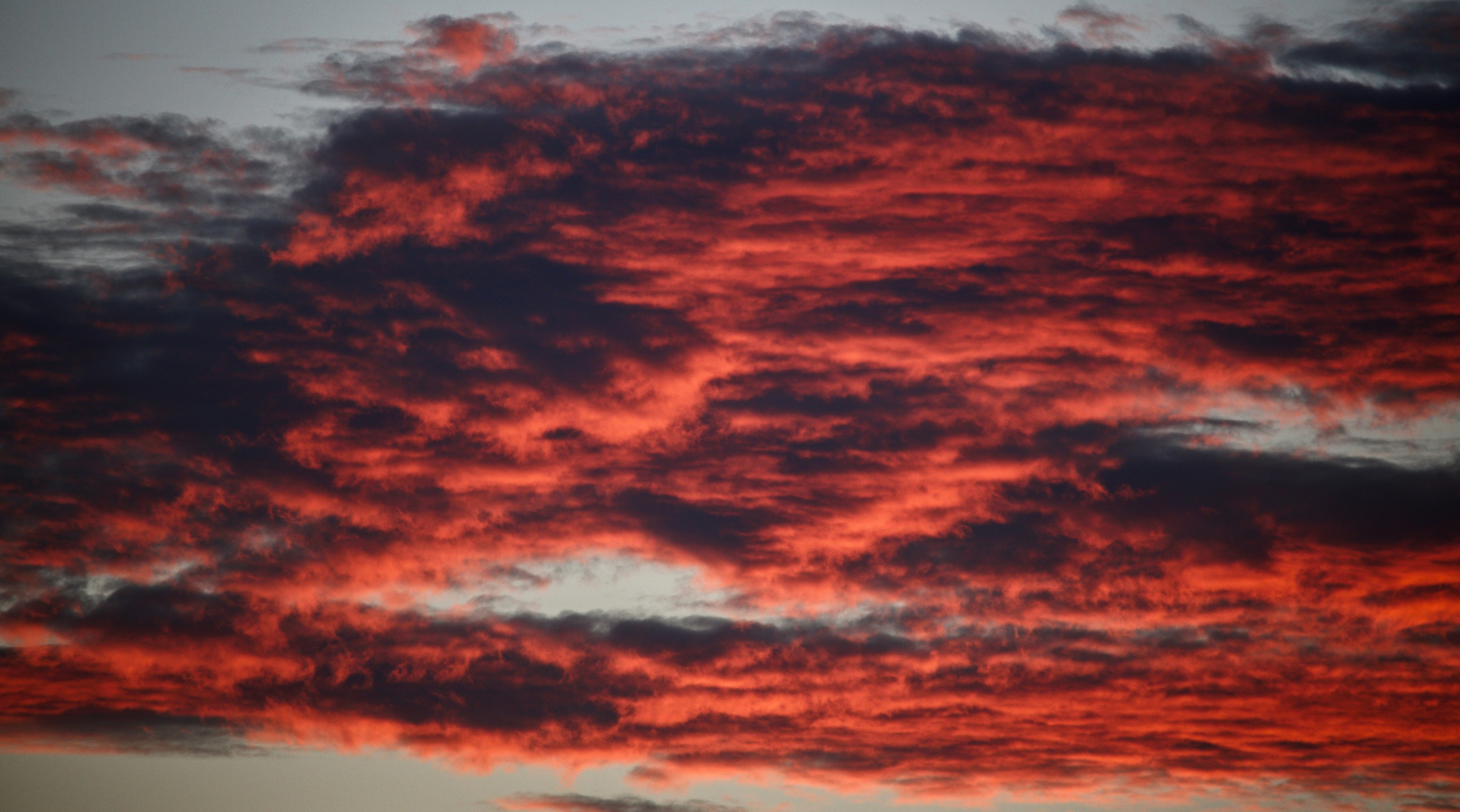 Un ciel rose et violet photo – Image gratuite de Nuage sur Unsplash