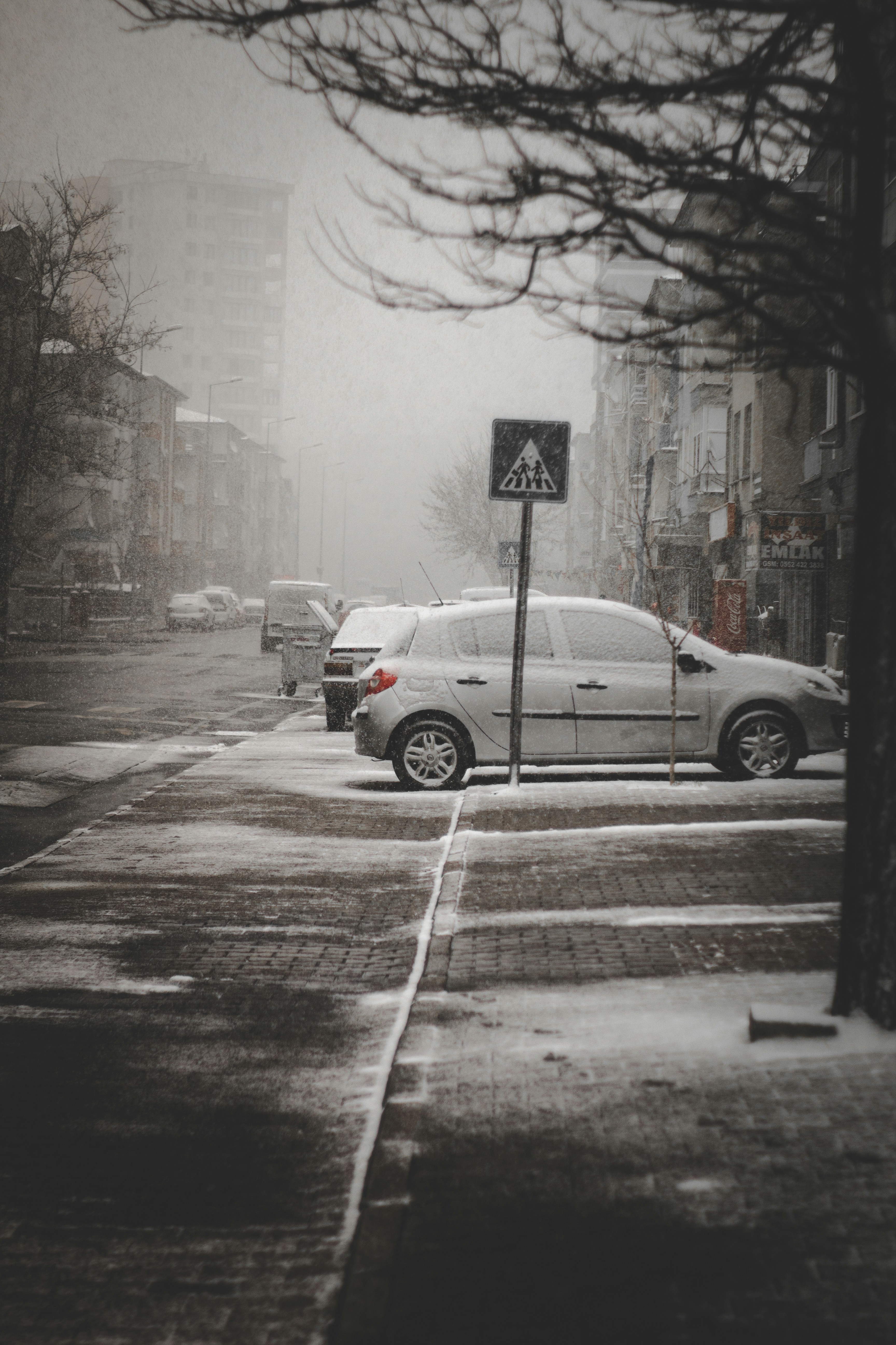 Photo by Taha Sas with Canon EOS 4000D