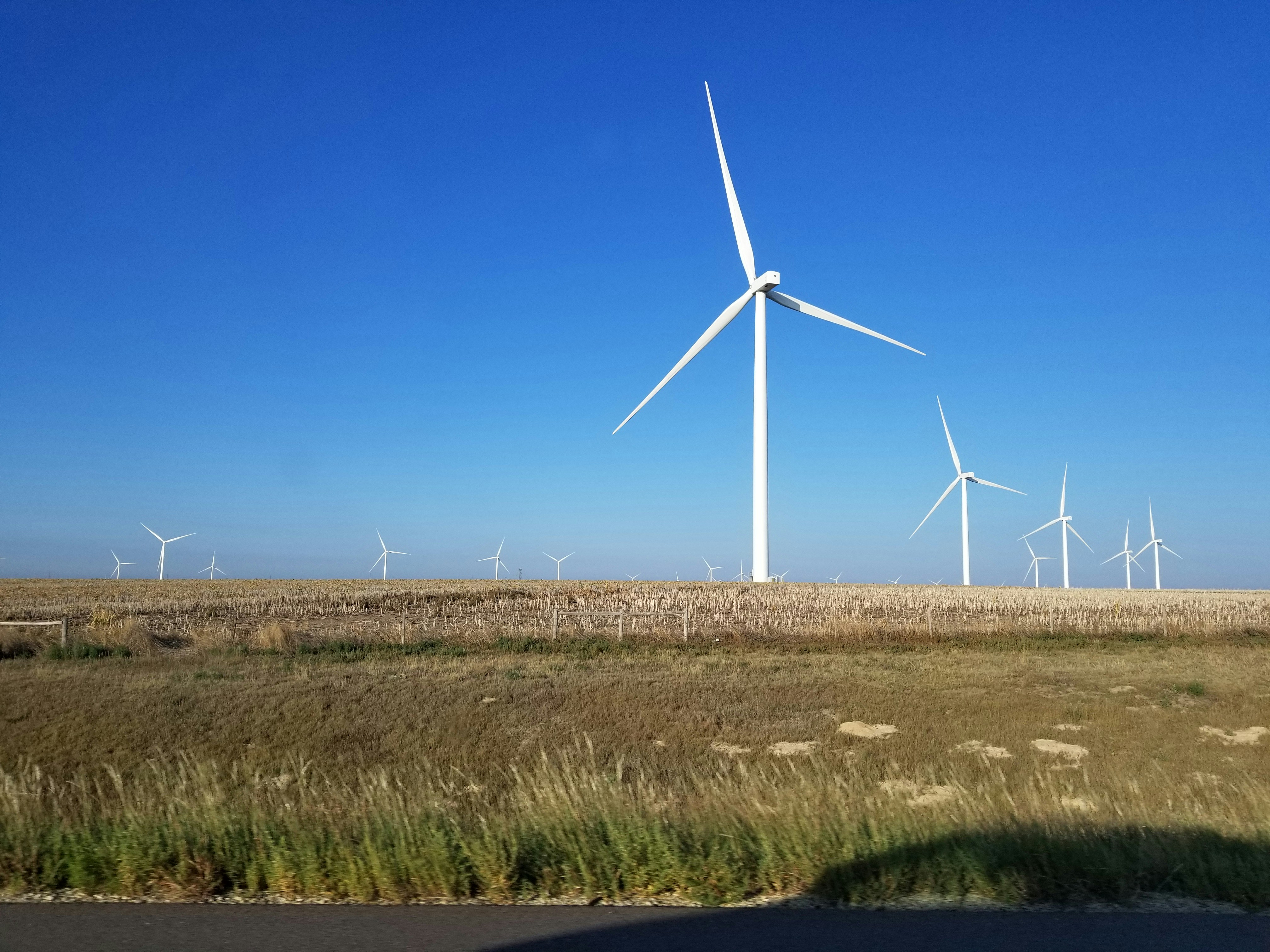 Azure Prairie: A Line of Wind Turbines Reaching for the Sky