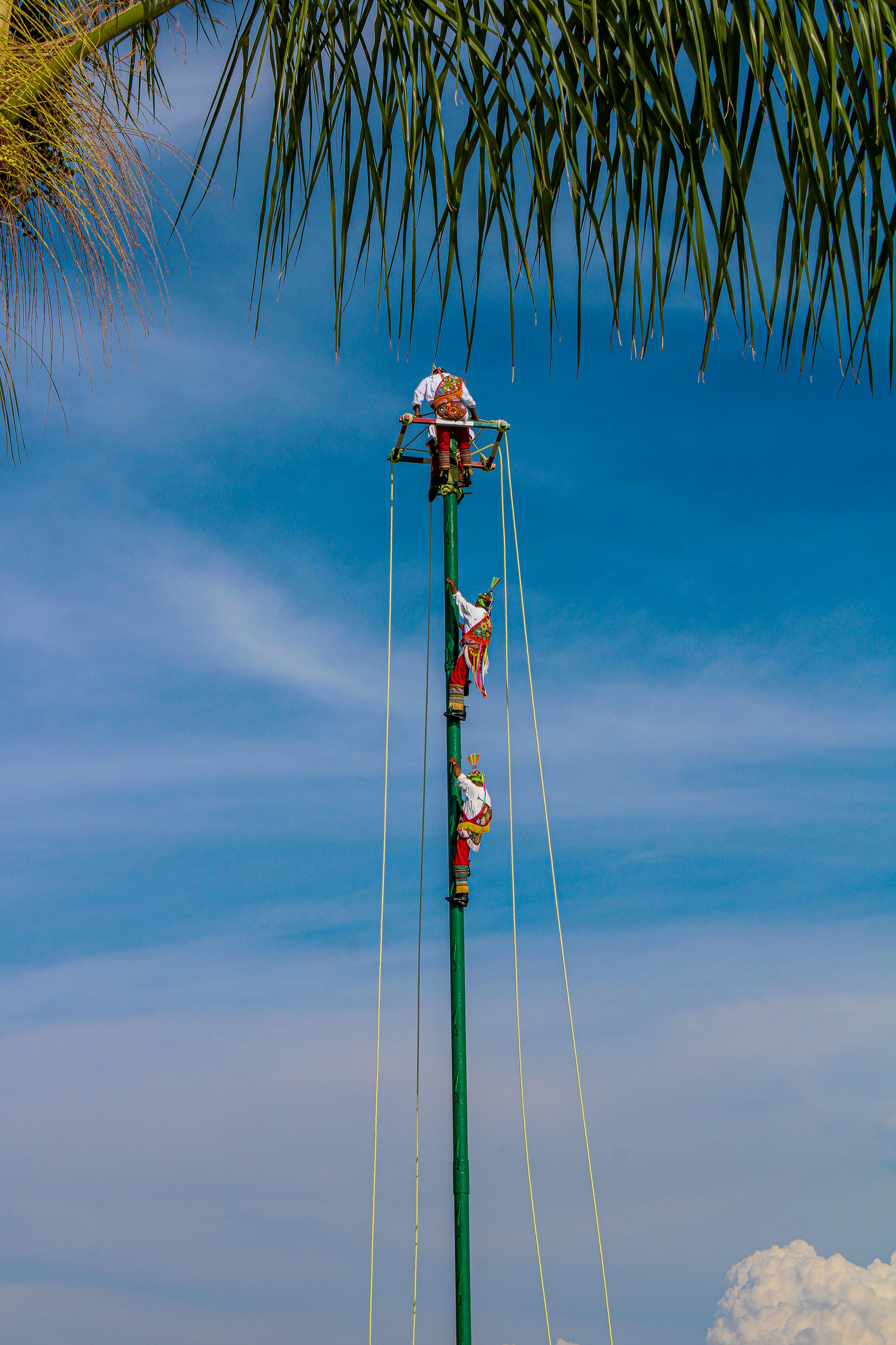 A group of people parachuting photo – Free México Image on Unsplash