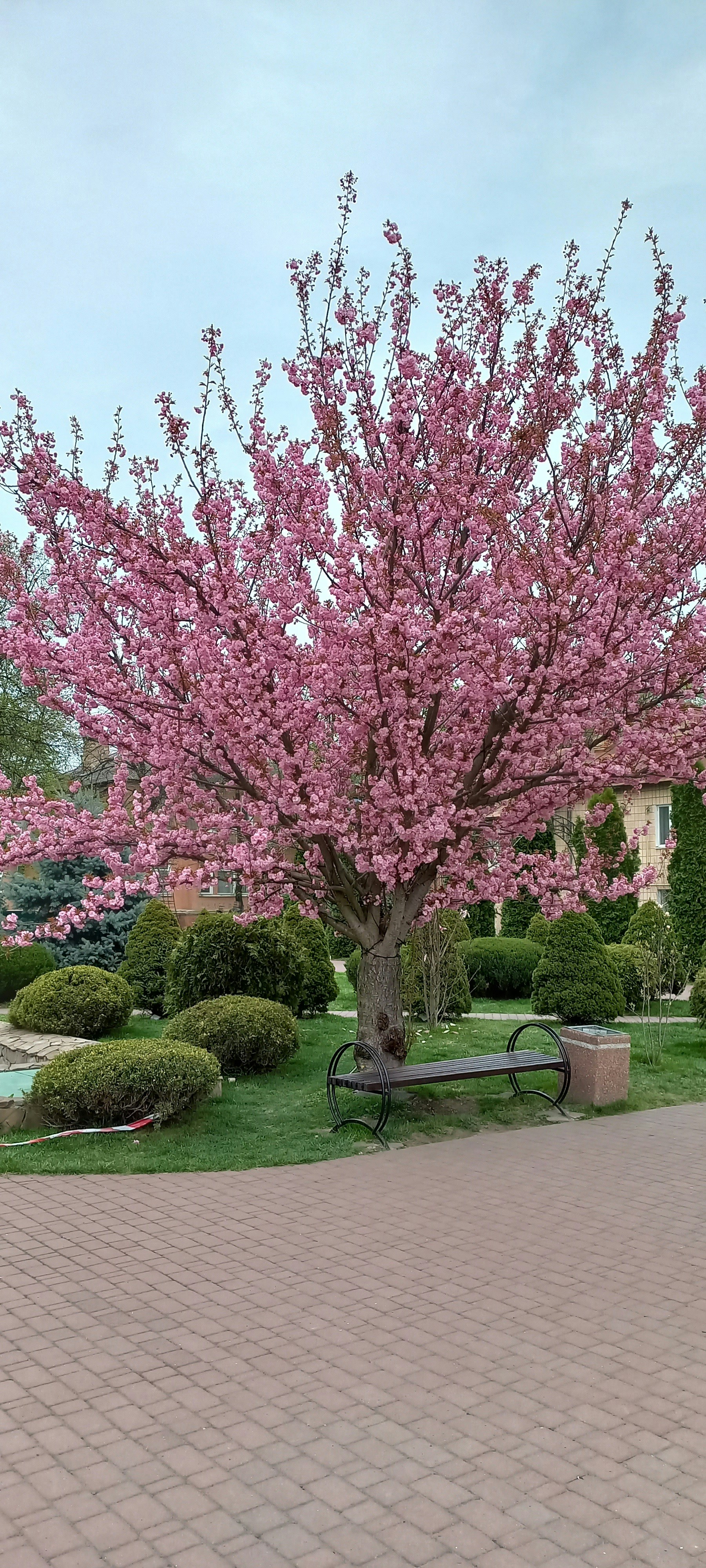 Photo by Elena Diomochkina with Samsung Galaxy A22