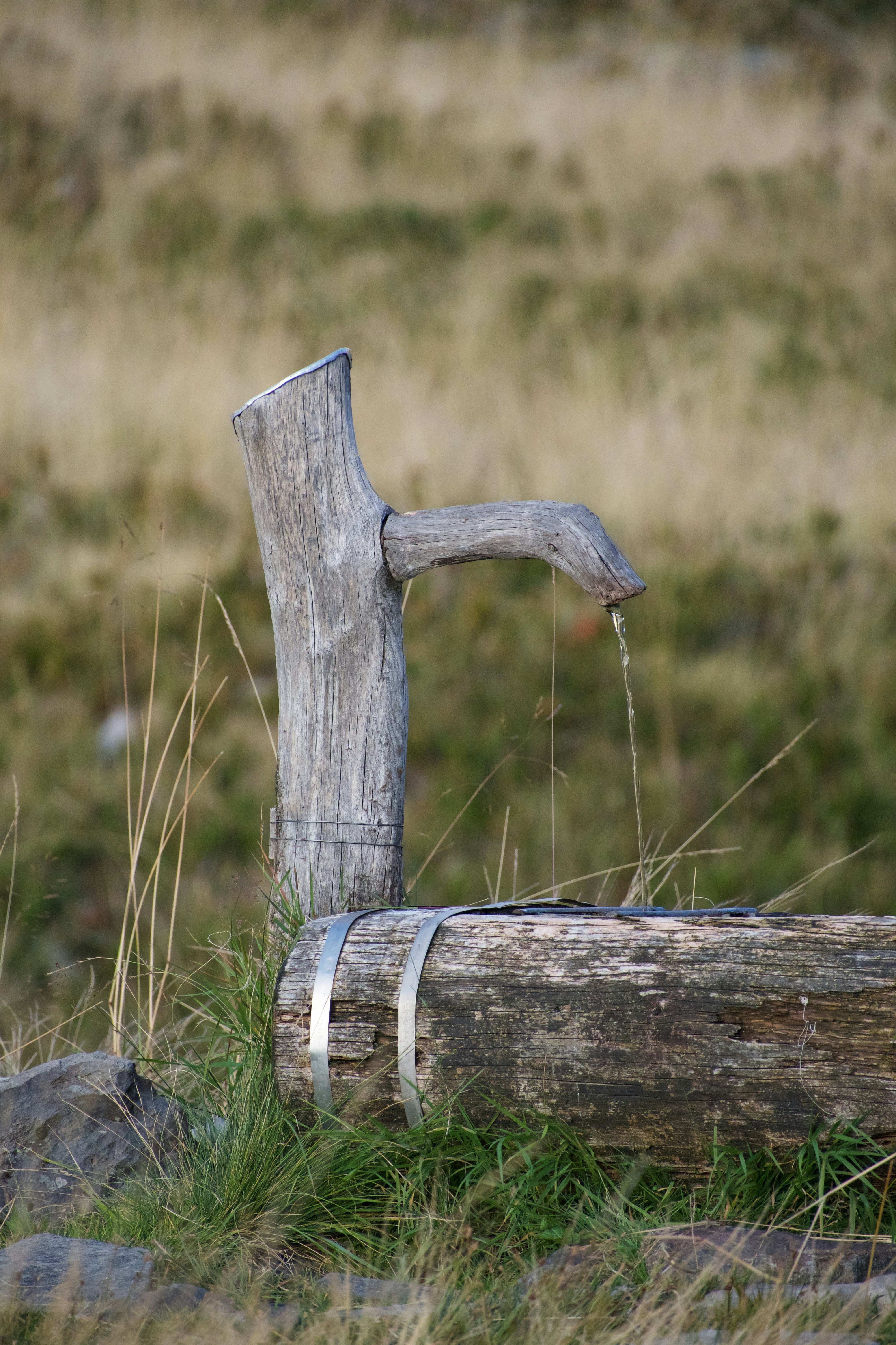 Drip-Stream of Time: A Weathered Hand Pump in a Field