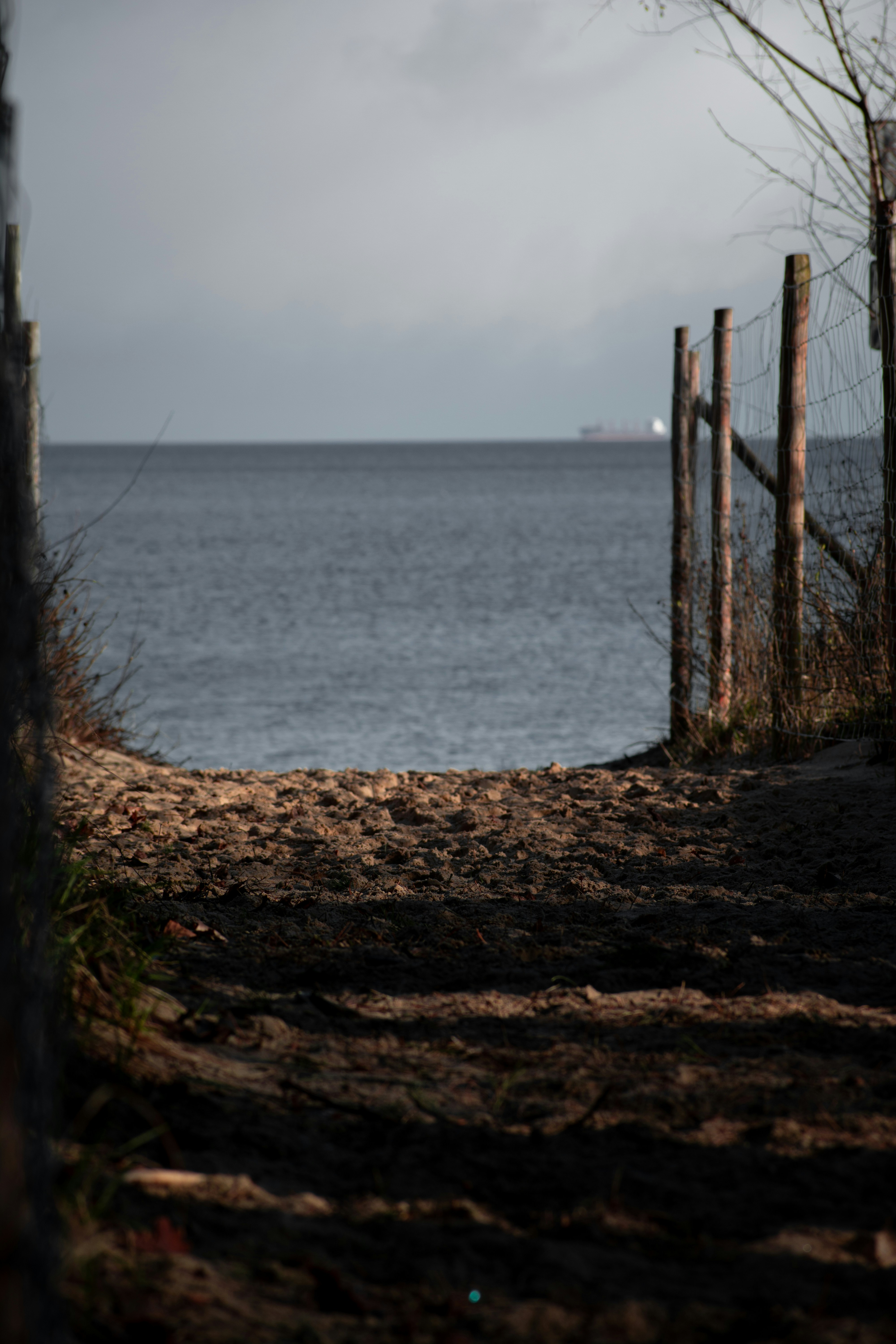Fence Gate to the Quiet Sea: A Shoreline Path Framing the Horizon
