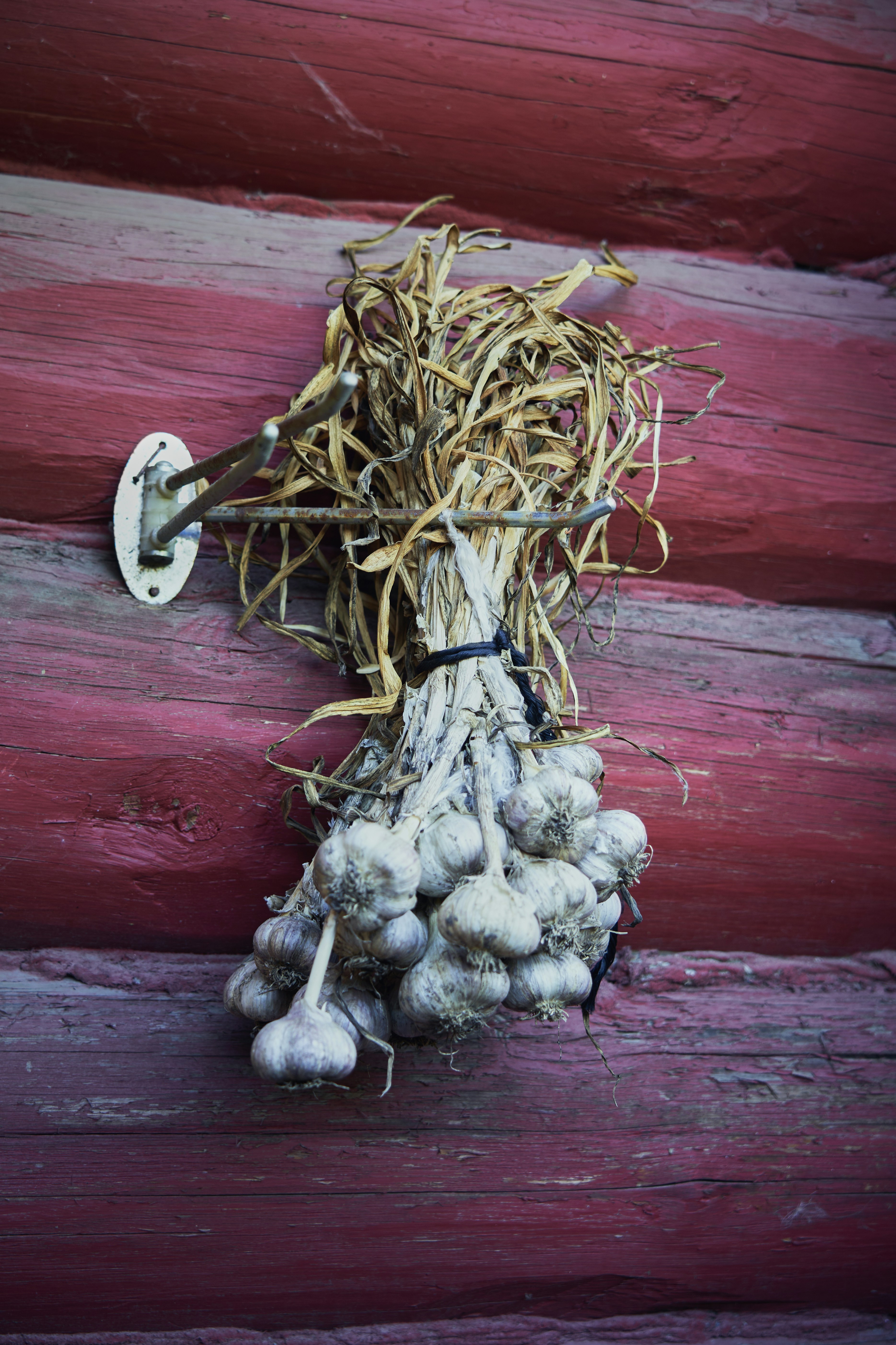 Tangled Garlic on a Weathered Red Wall