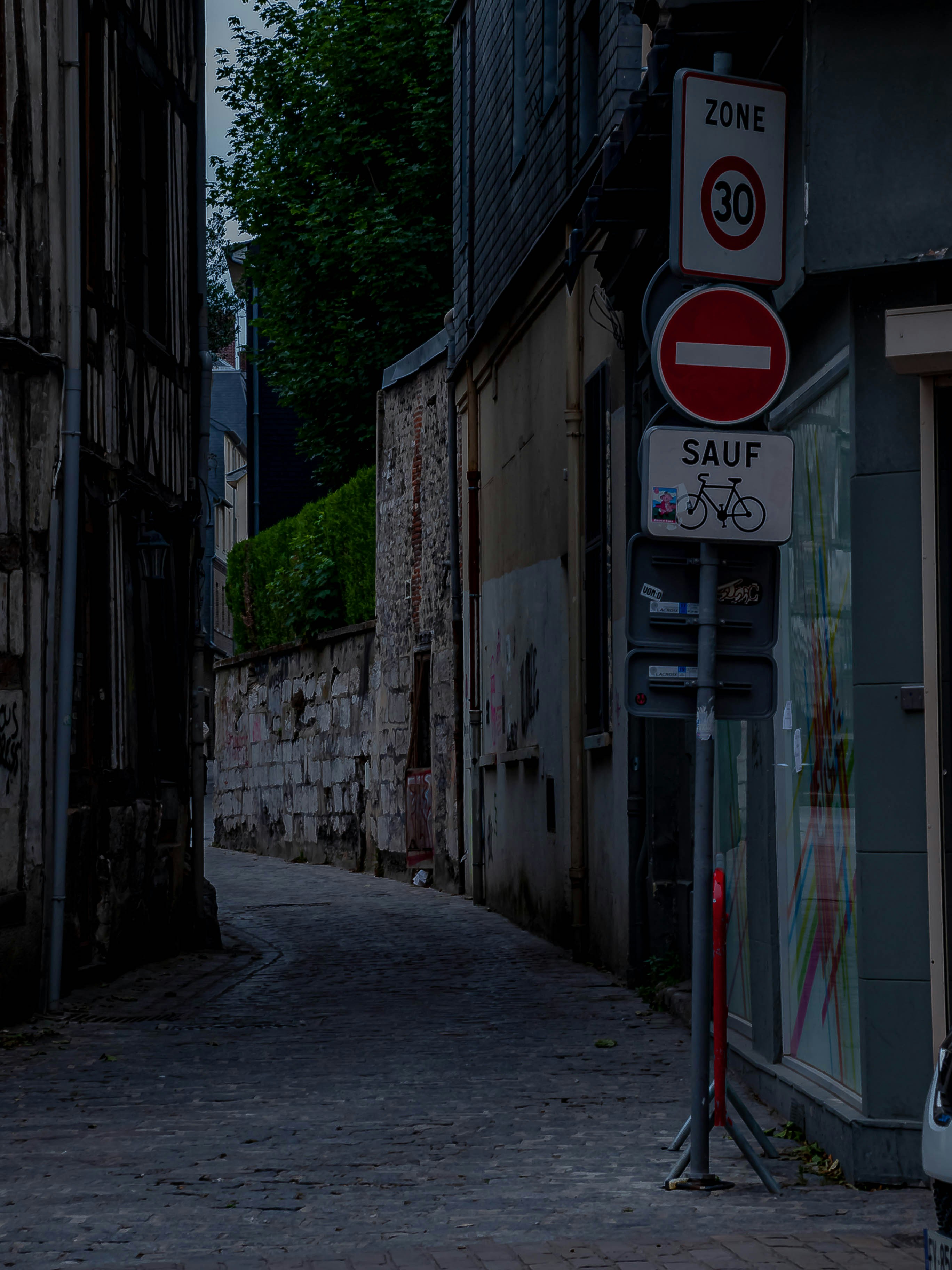 Narrow cobblestone alley lined with rustic buildings under dim evening light.