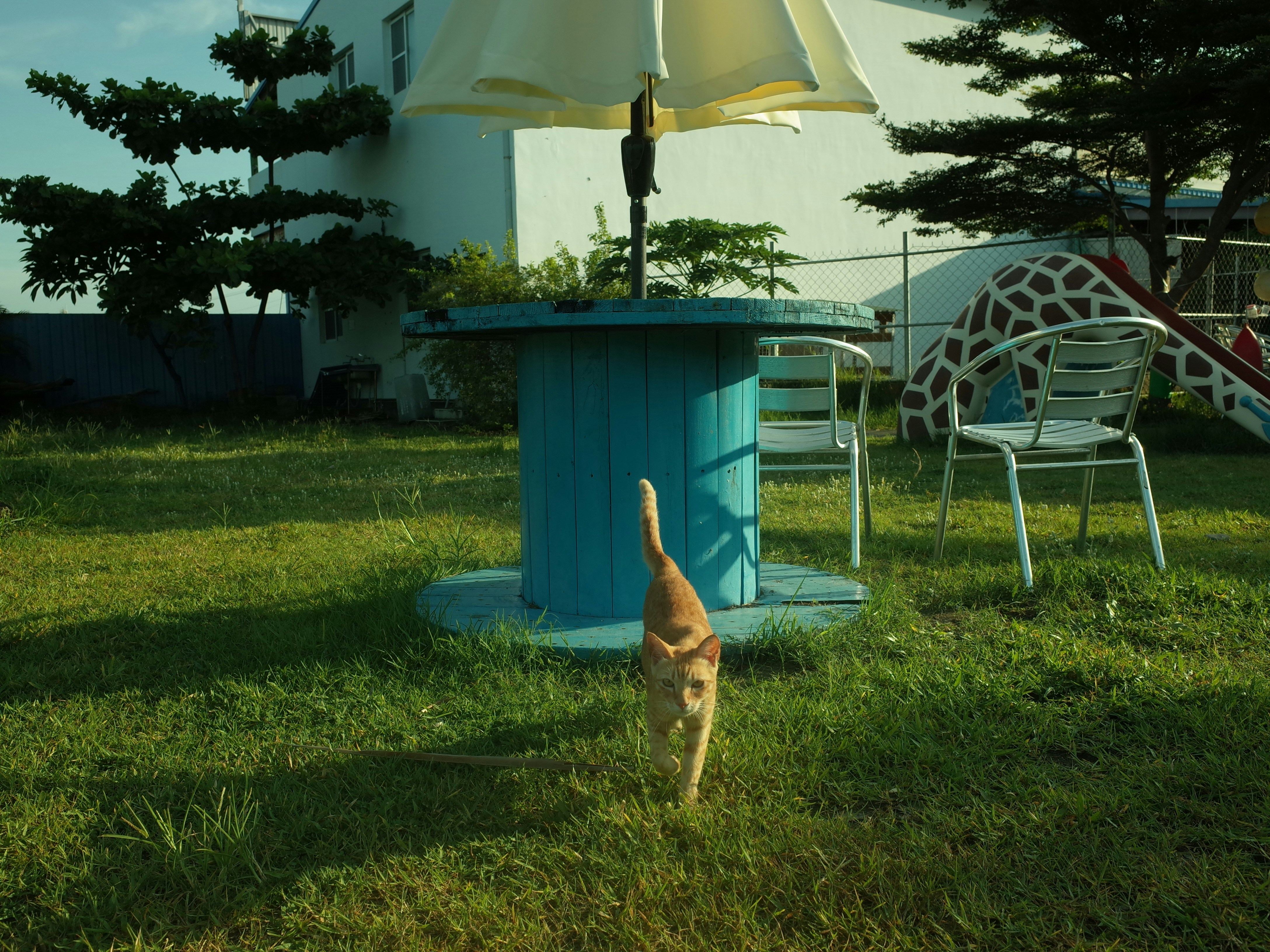Sunny Afternoon Stroll by the Garden Table