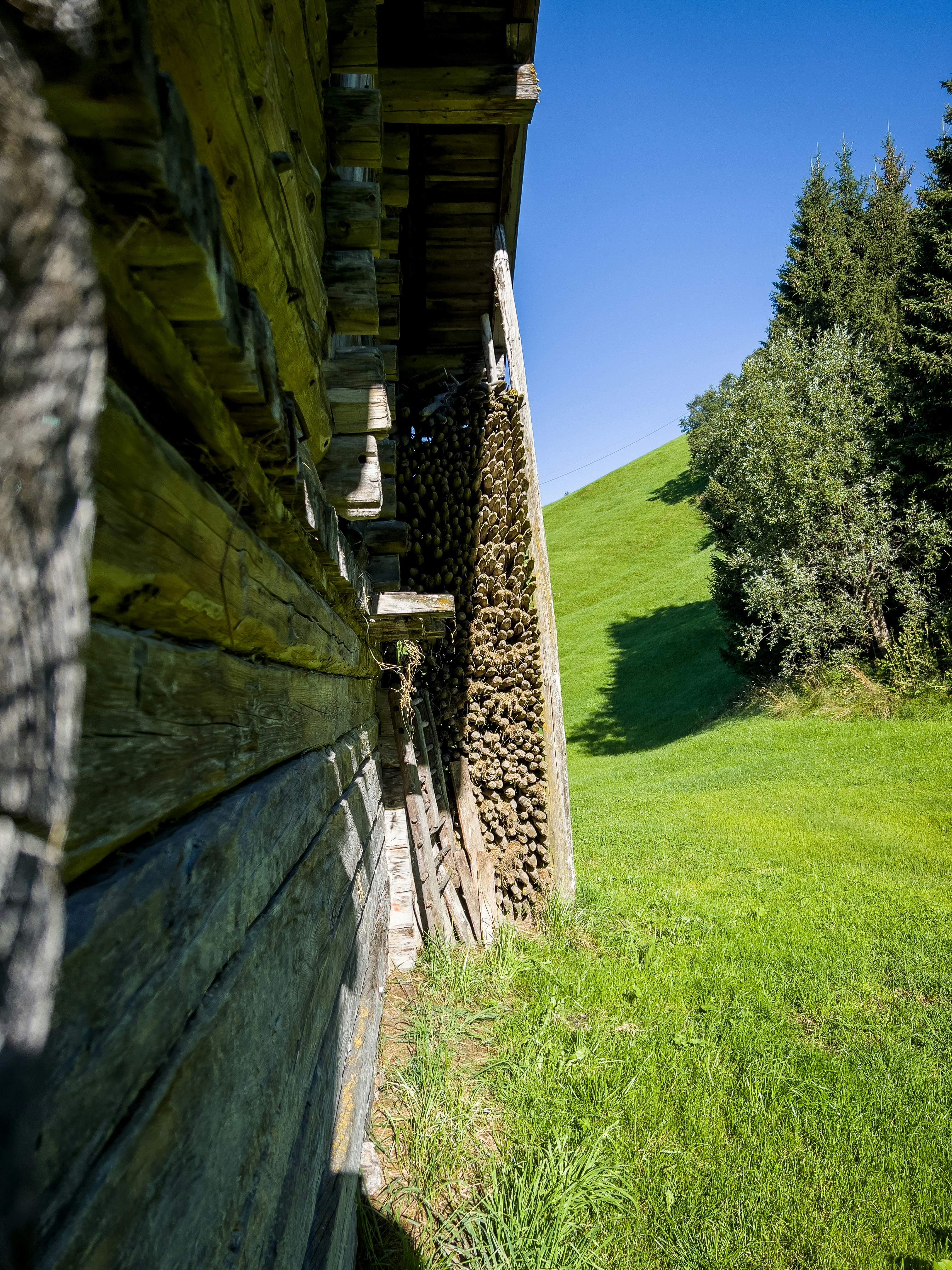 Edge of Timber: A Rustic Wall Framed by a Sunlit Hill