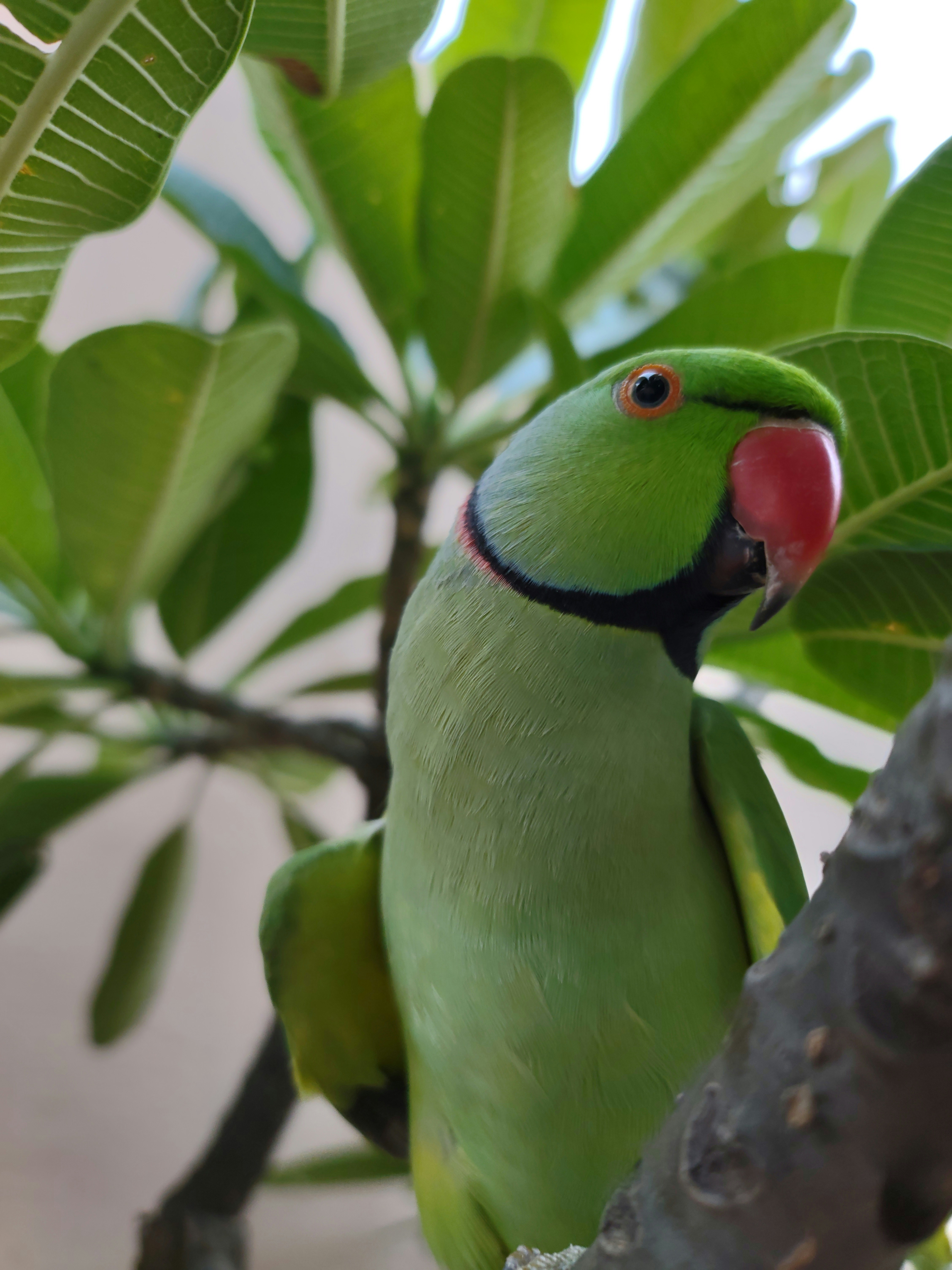 Photo by Sameer Khalid with Motorola Edge Plus