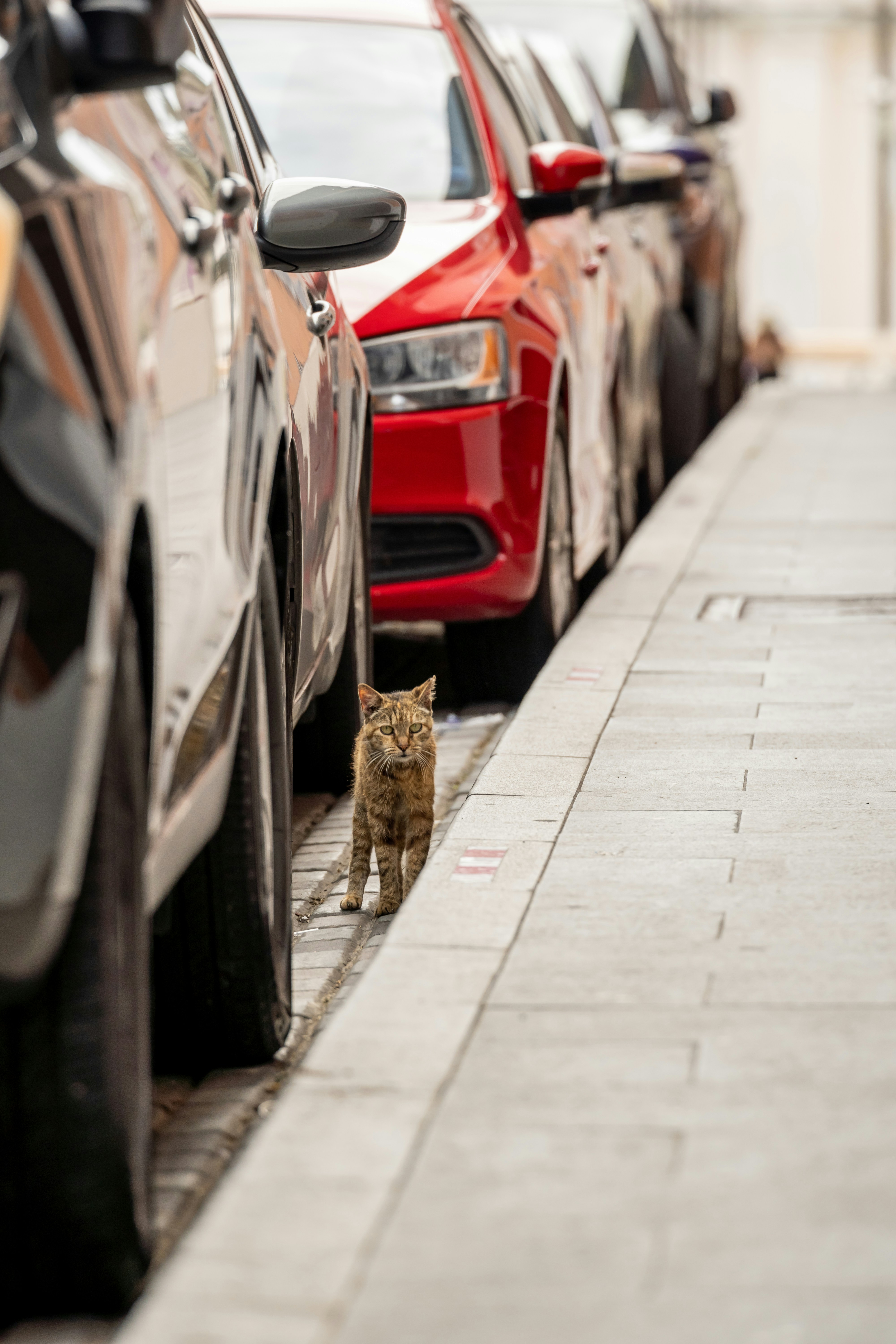 Even the simplest things are just beautiful