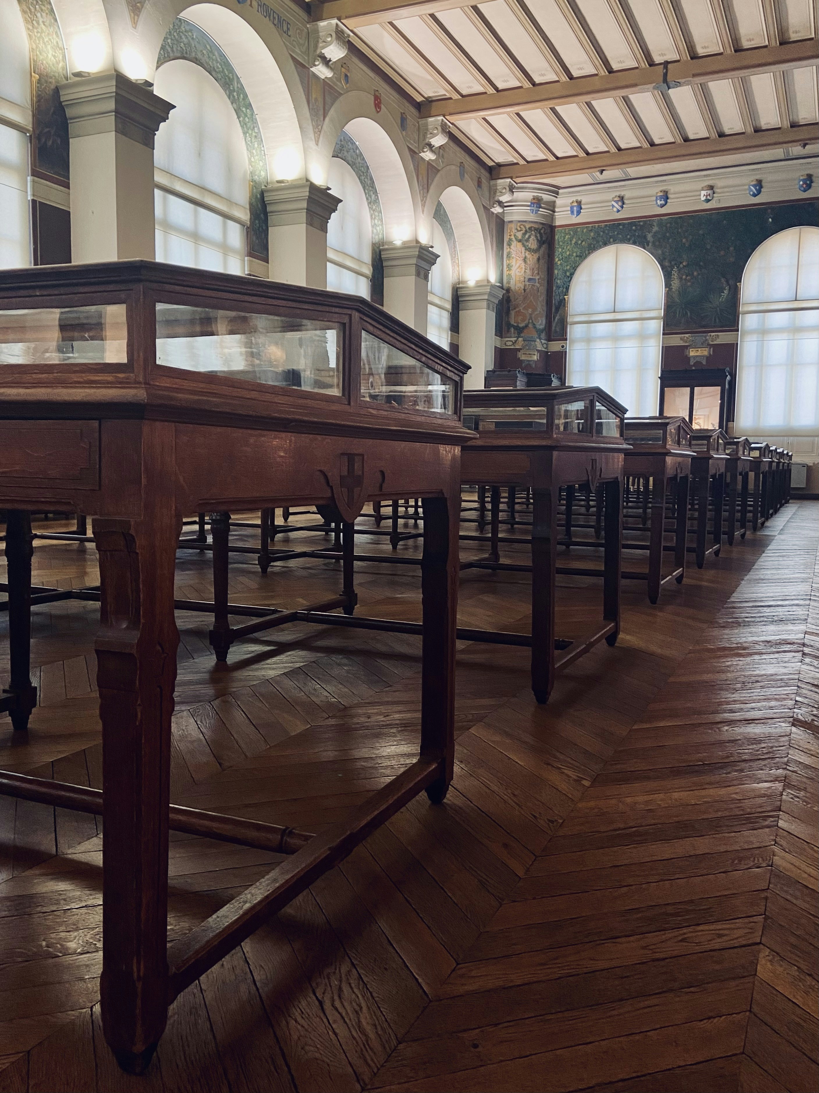 Echoes in a Sunlit Hall: Rows of Glass-Topped Displays