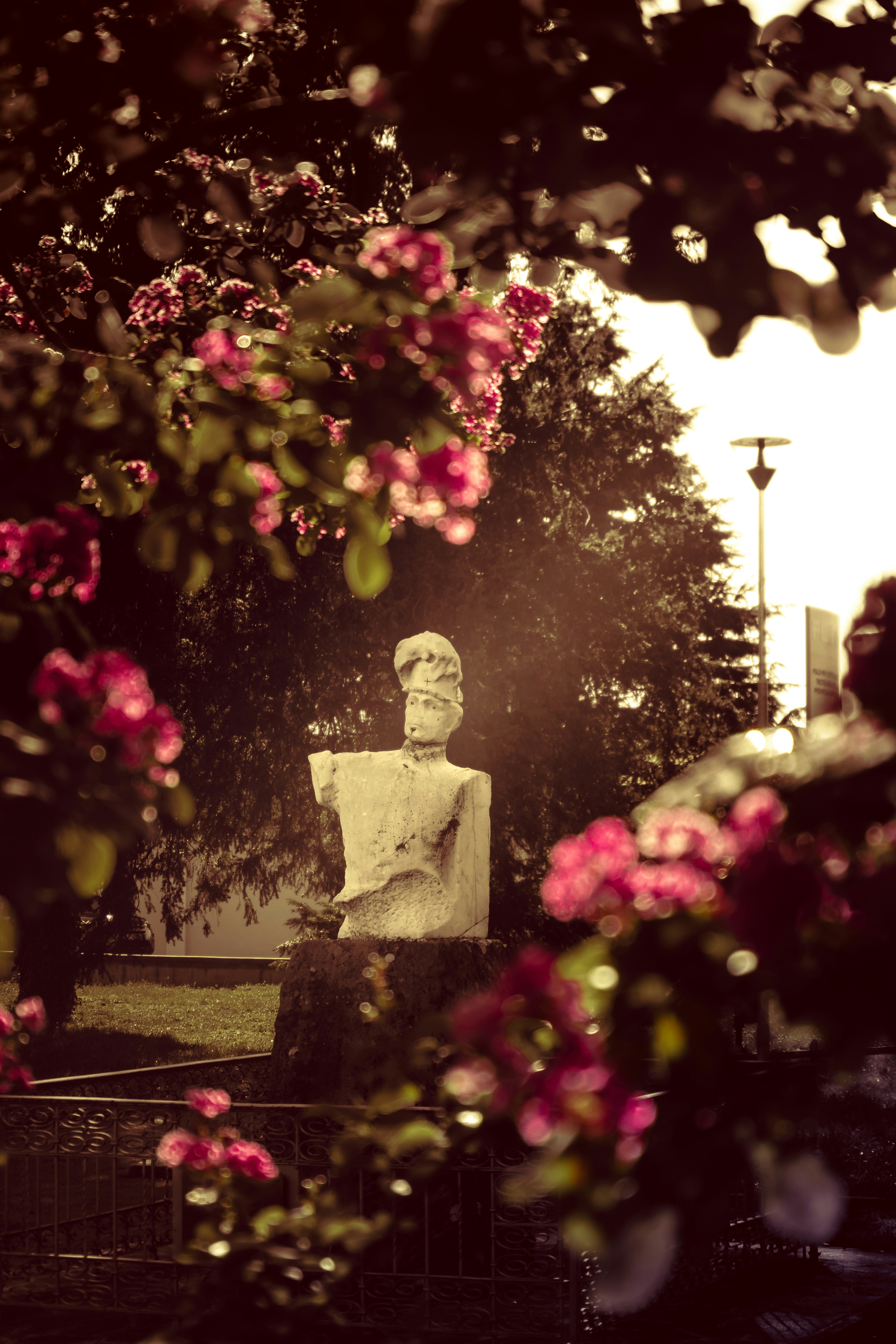 Quiet Bust Between Blooms: A Sculpture Watcher in the Garden