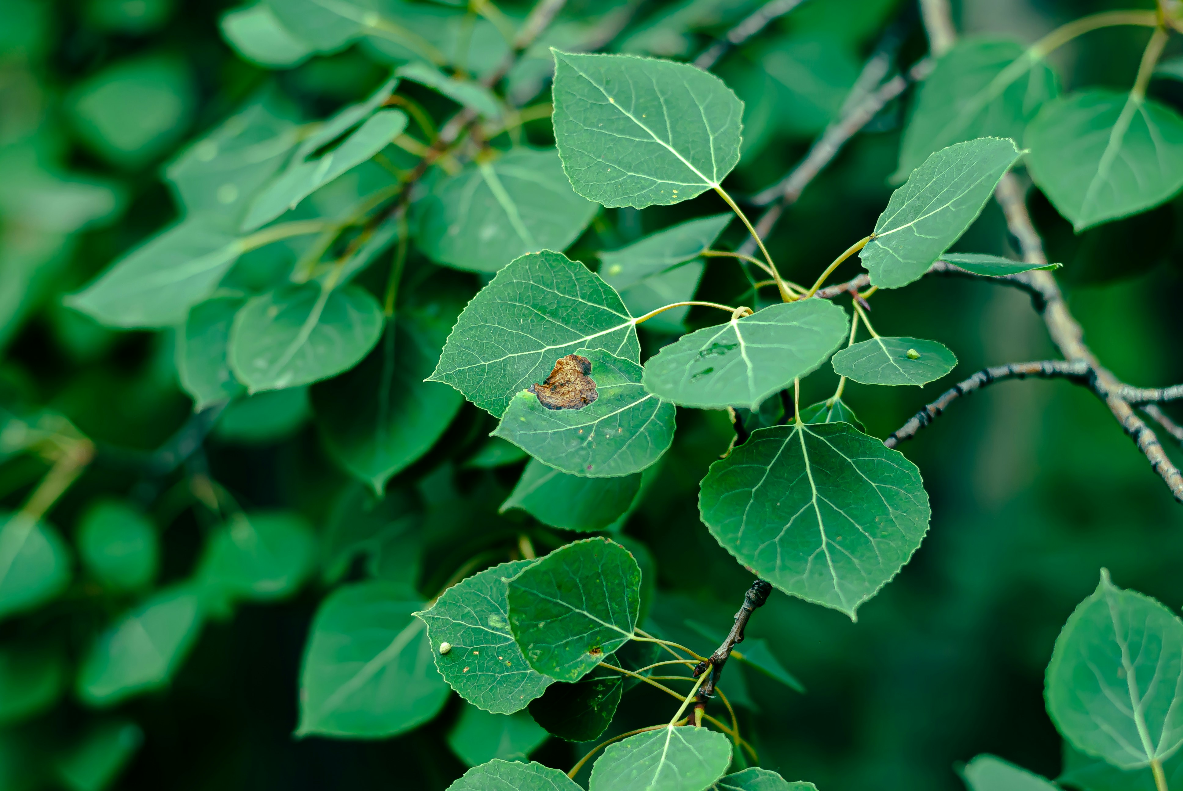 Jack Burns (@jackburns) | Comunidade de fotos da Unsplash