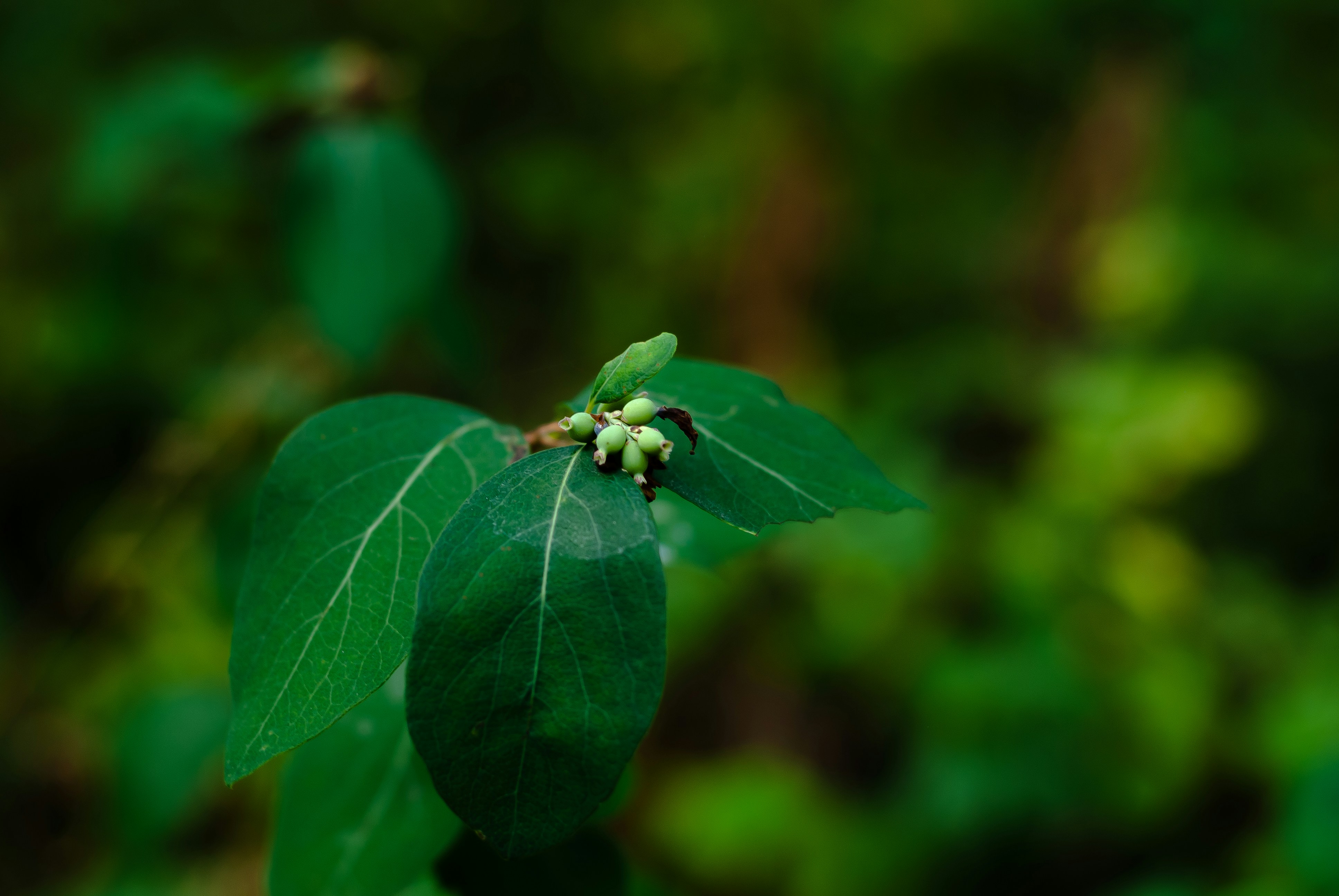 Jack Burns (@jackburns) | Comunidade de fotos da Unsplash