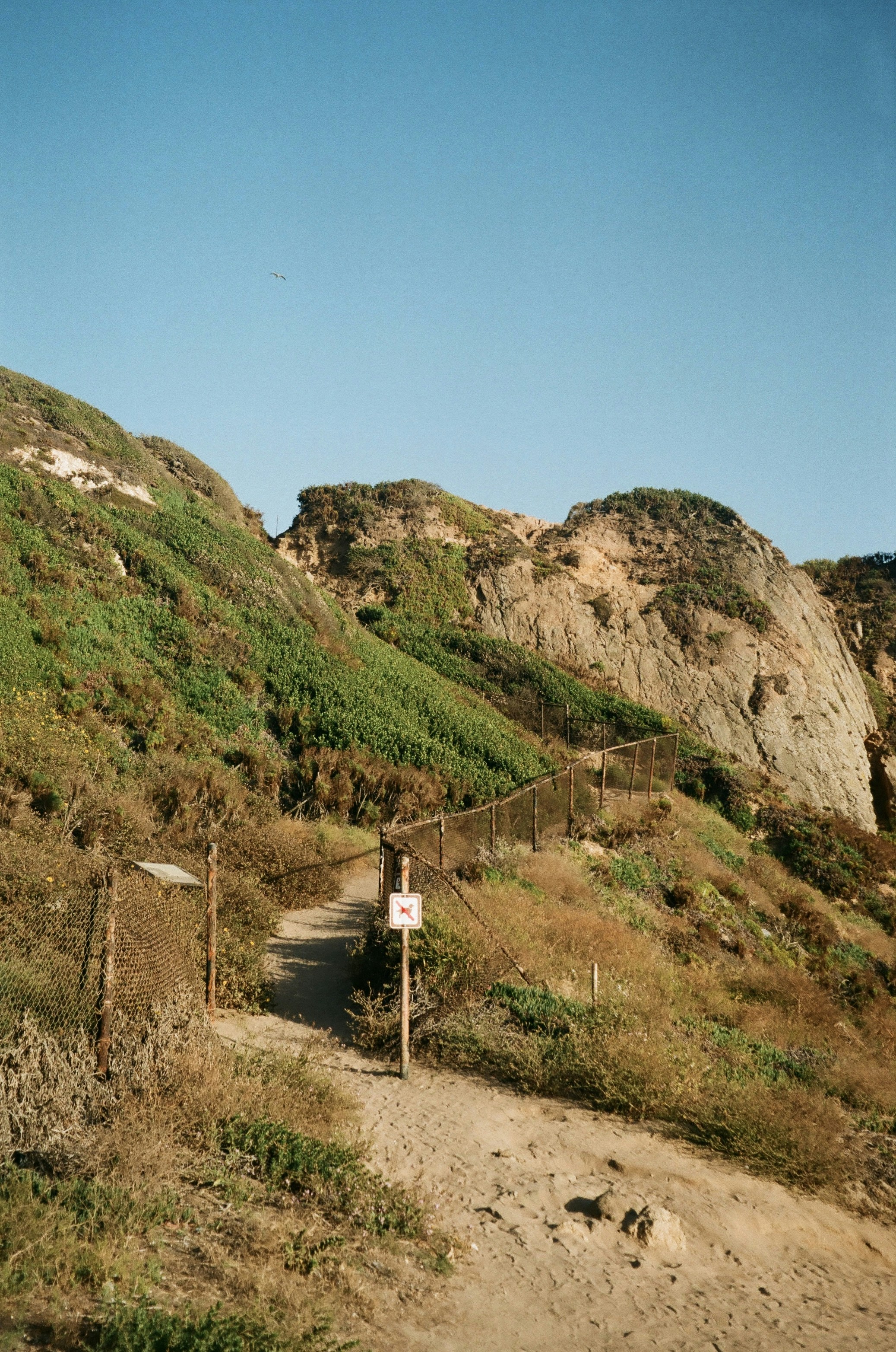 A winding path leads through lush greenery beside rugged cliffs, with a warning sign marking the trail's entrance.