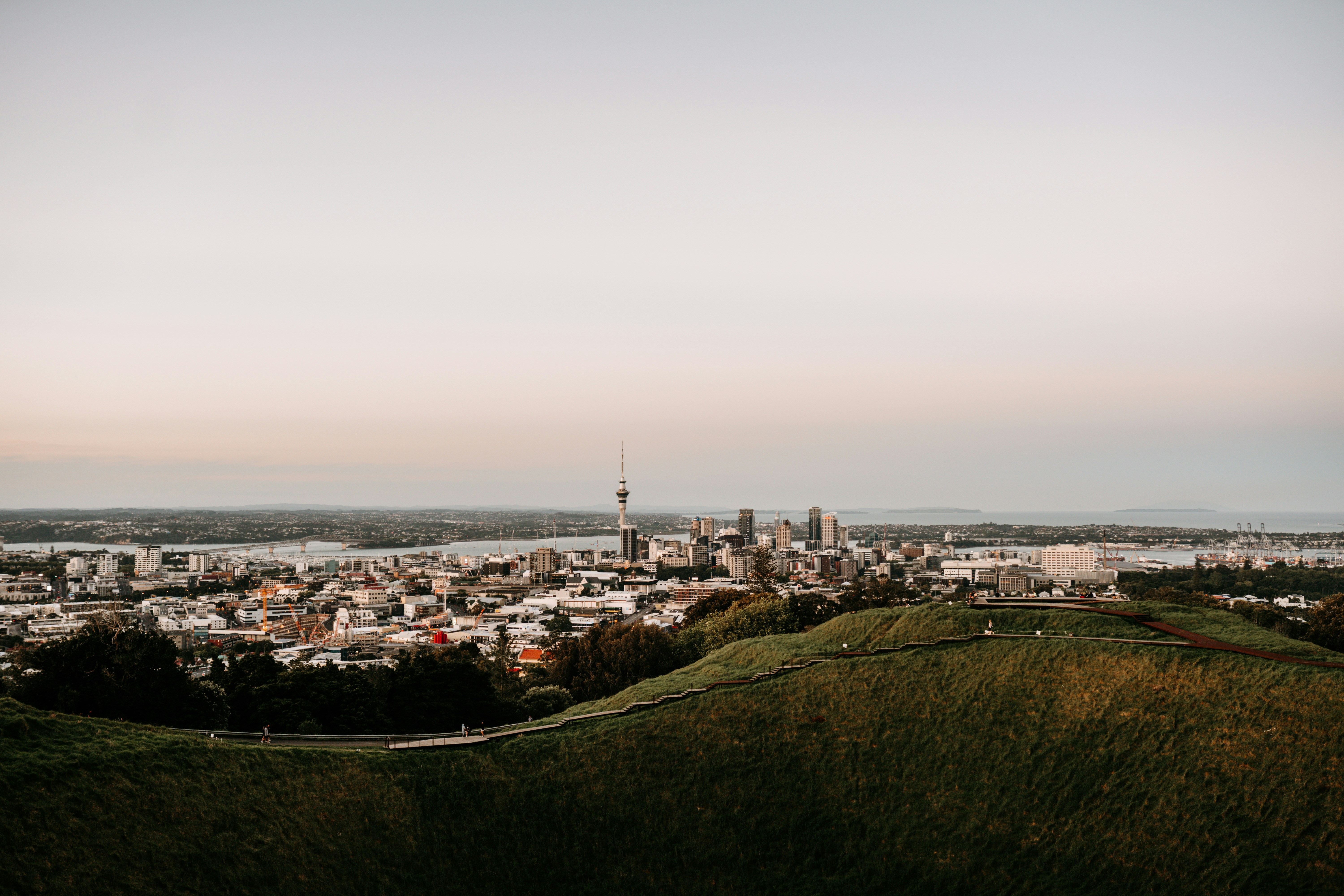 Photo by Liam Shaw with Sony Alpha 7 III