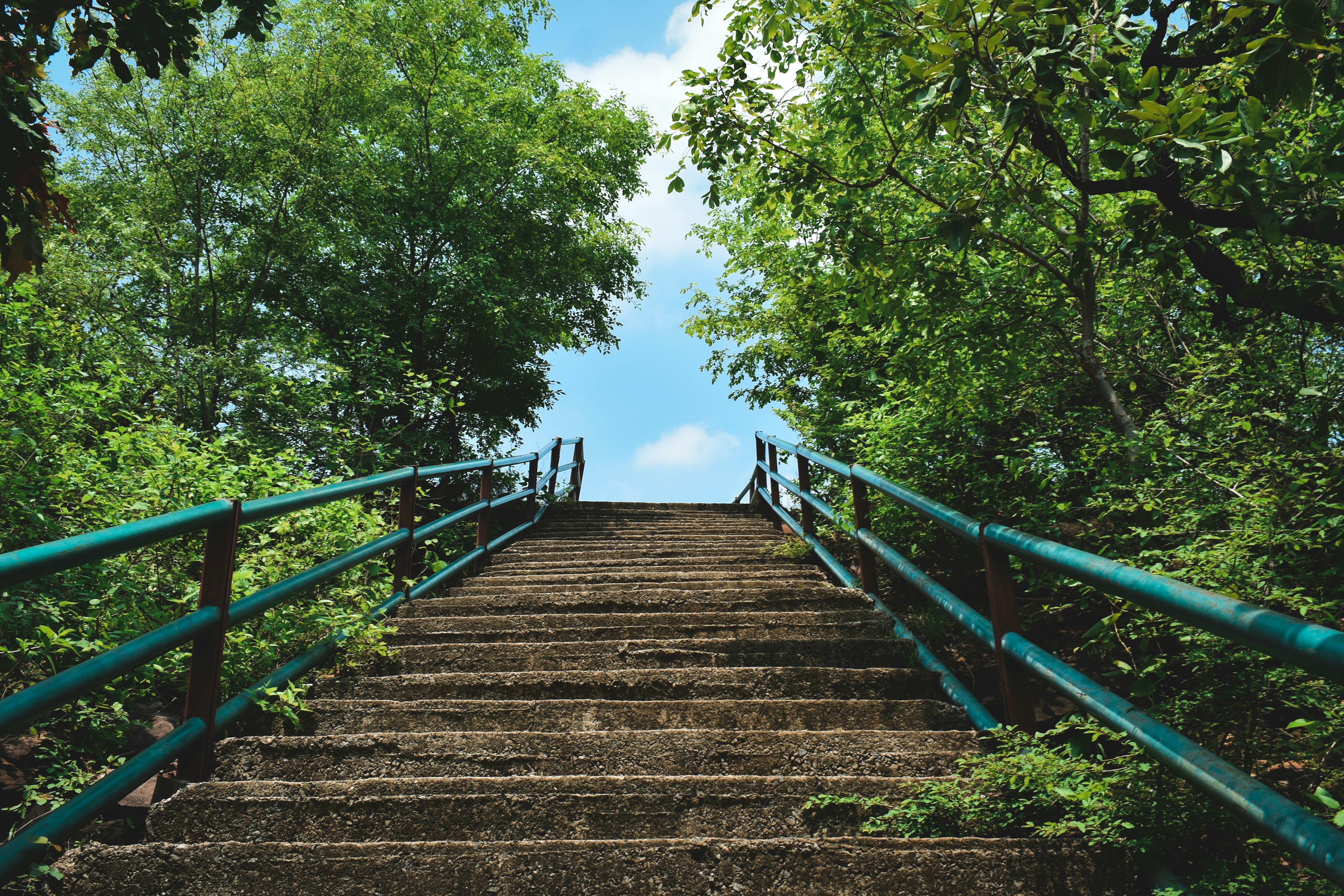 A set of stairs leading up to a green railing photo – Free Sky Image on ...