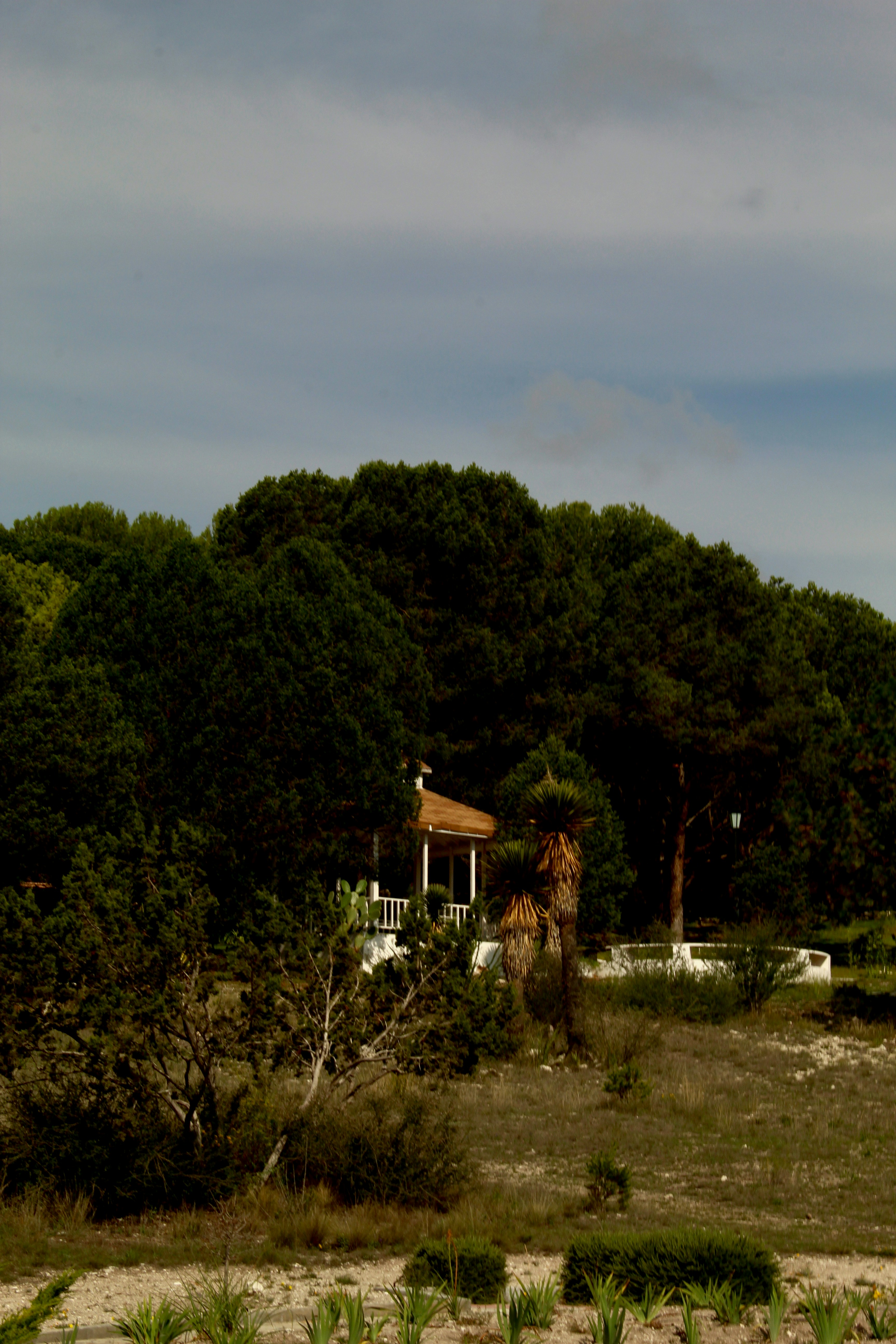 Lucia Macedo (@sample_in_photography) | Communauté photos Unsplash