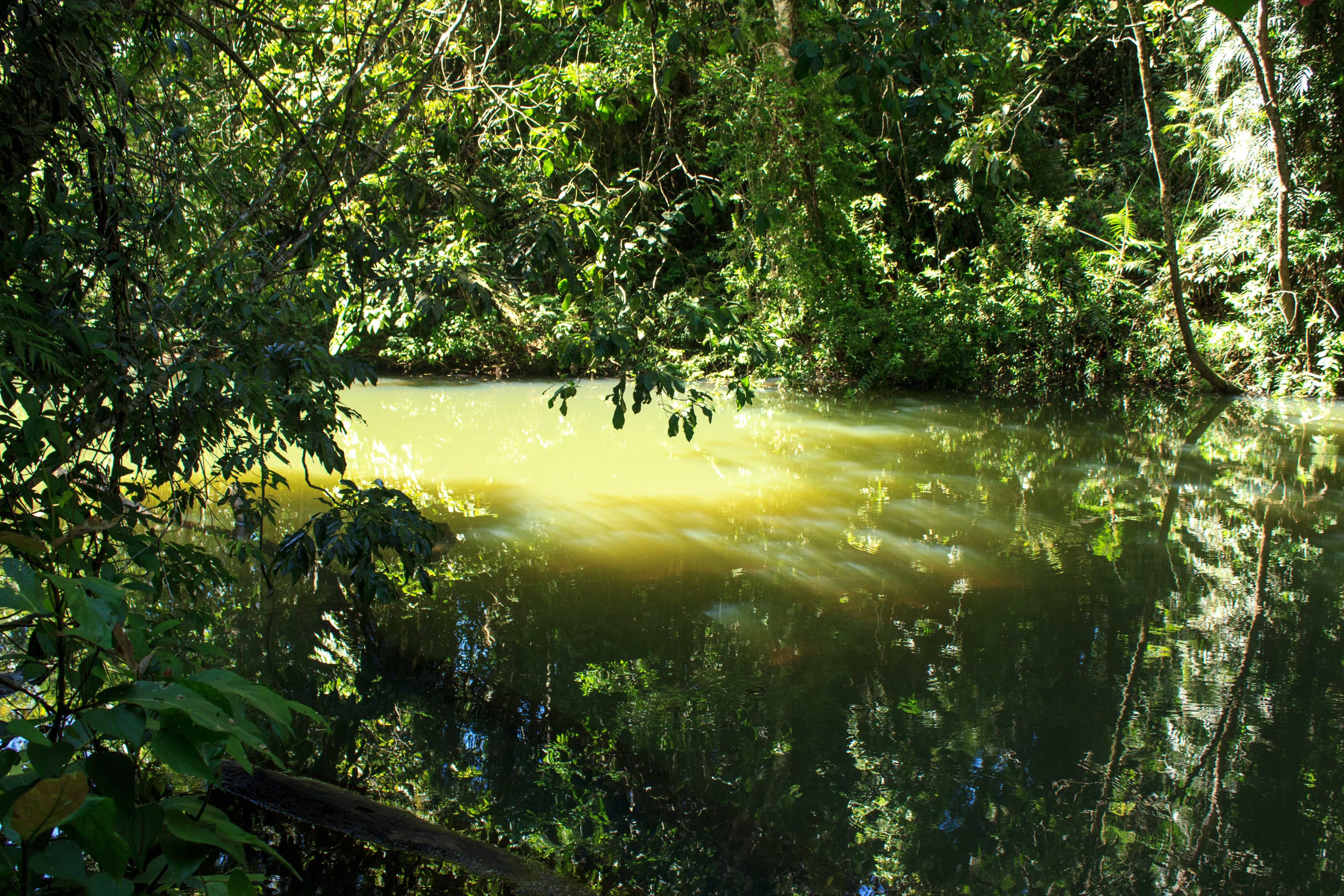 Photo by Mary Noe with Canon EOS 600D