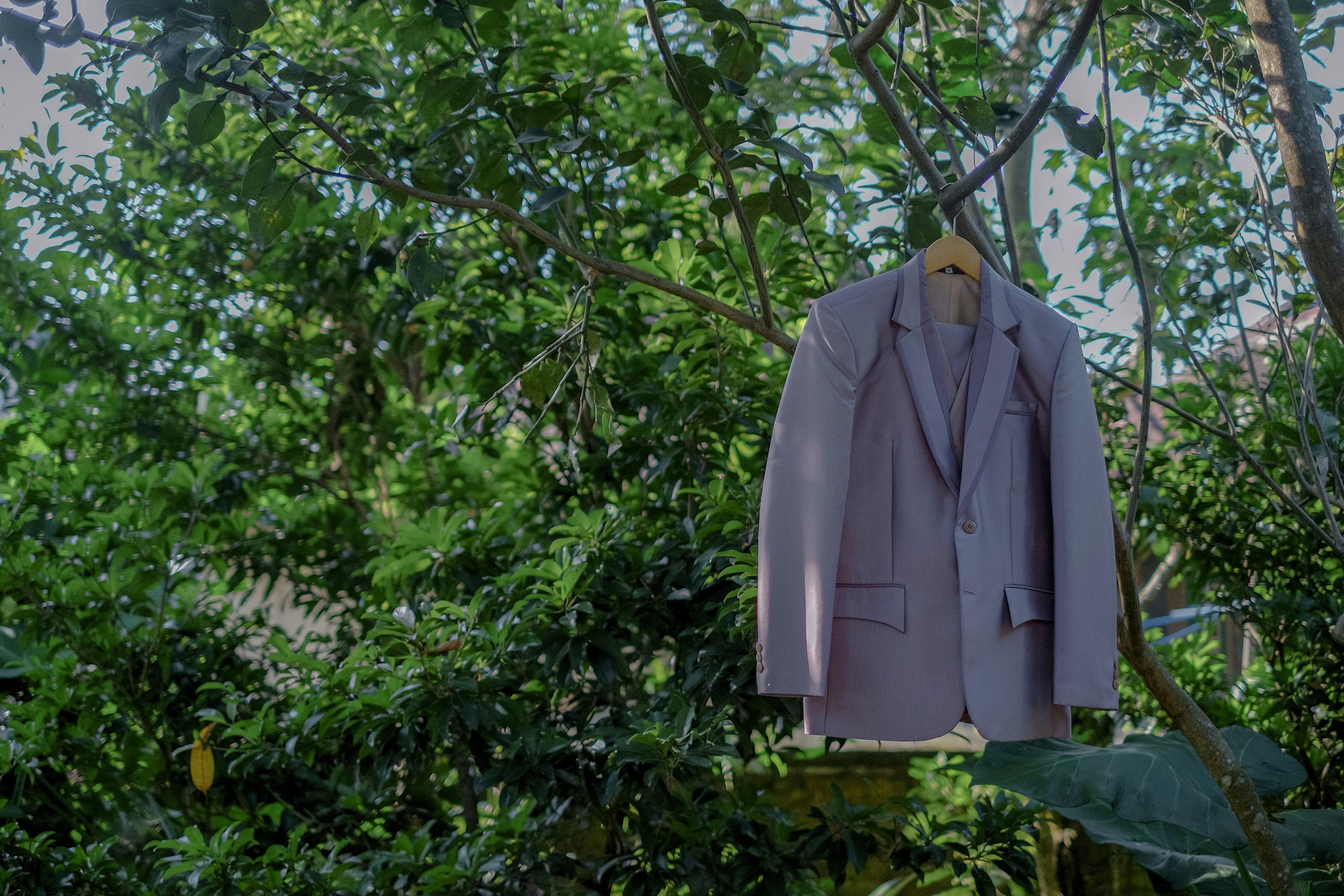Lavender Blazer Suspended in a Quiet Green Canopy