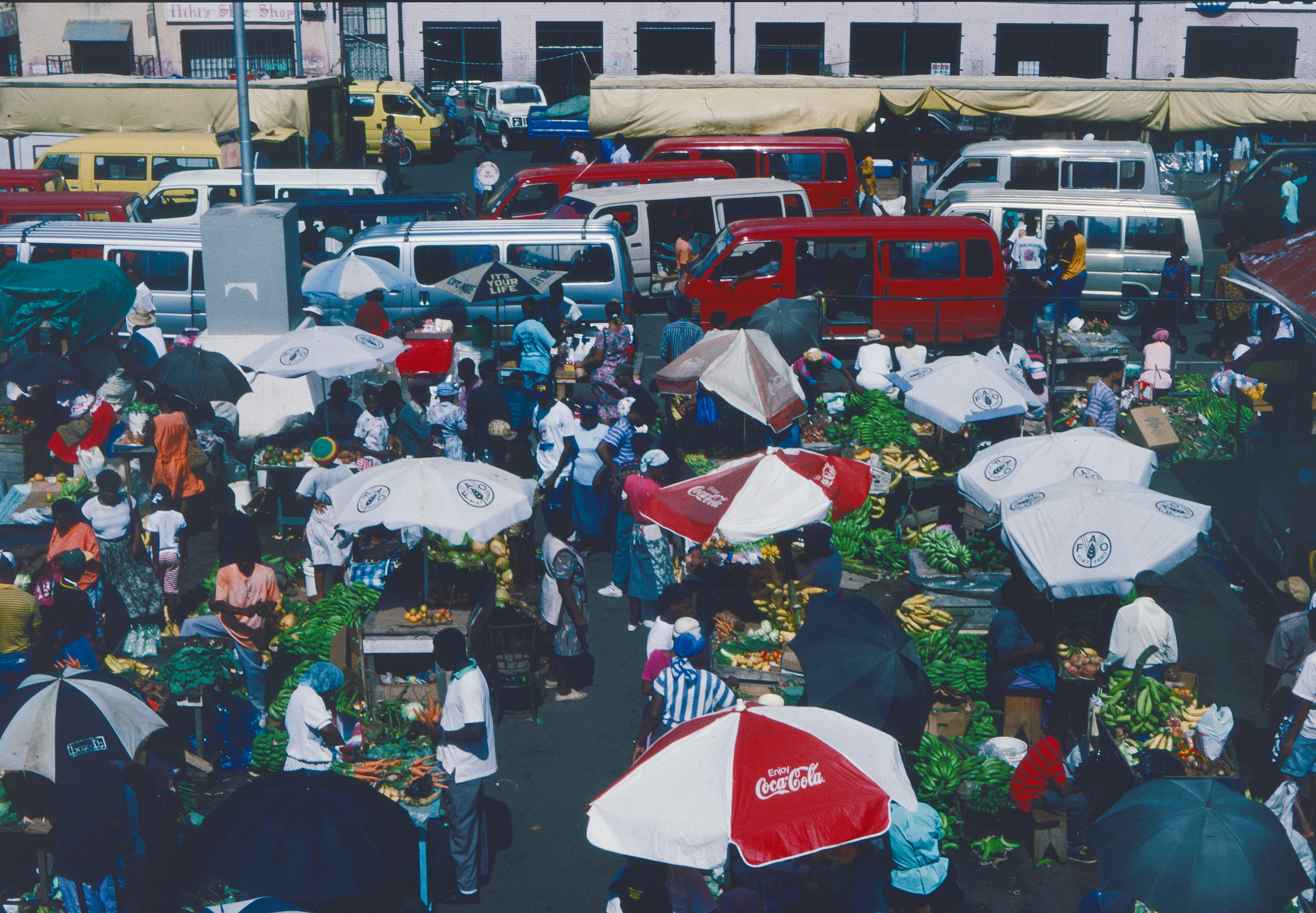 A large crowd of people with umbrellas in a parking lot photo – Free ...