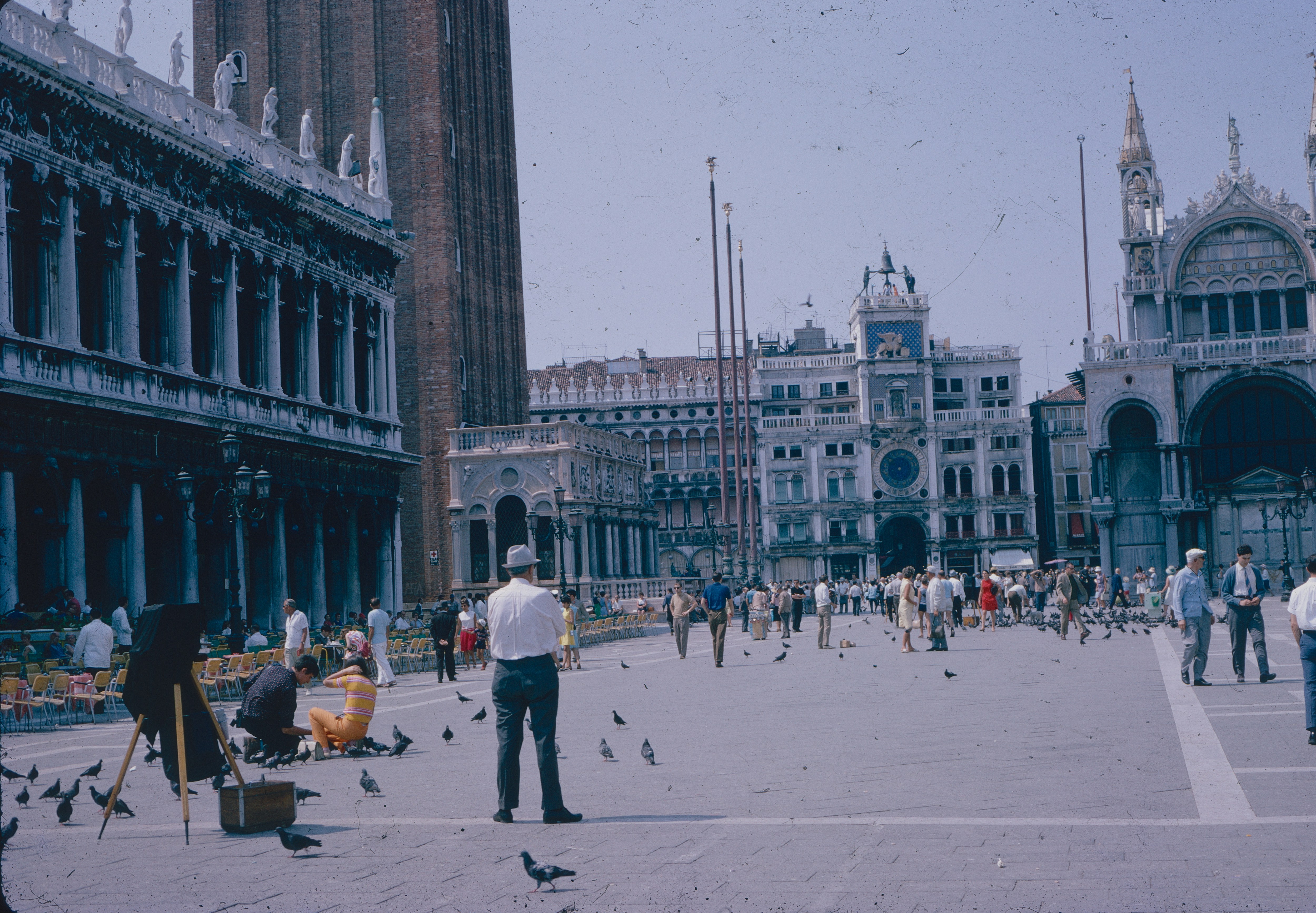 Blue Hour in Piazza San Marco: Quiet Motion Among Pigeons and Stone