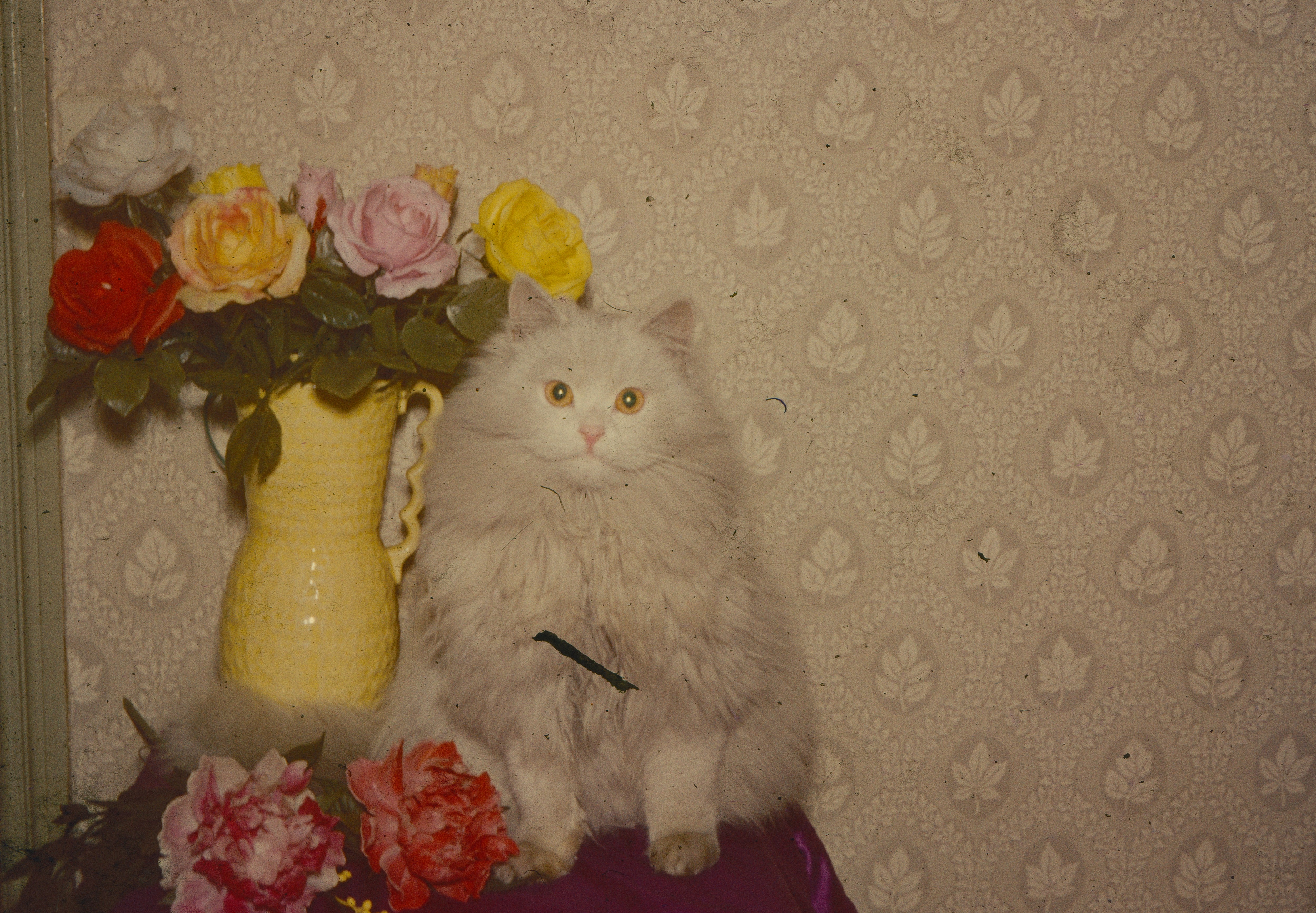 Fluffy white cat sitting beside a vibrant vase of artificial flowers against a textured wallpaper backdrop.