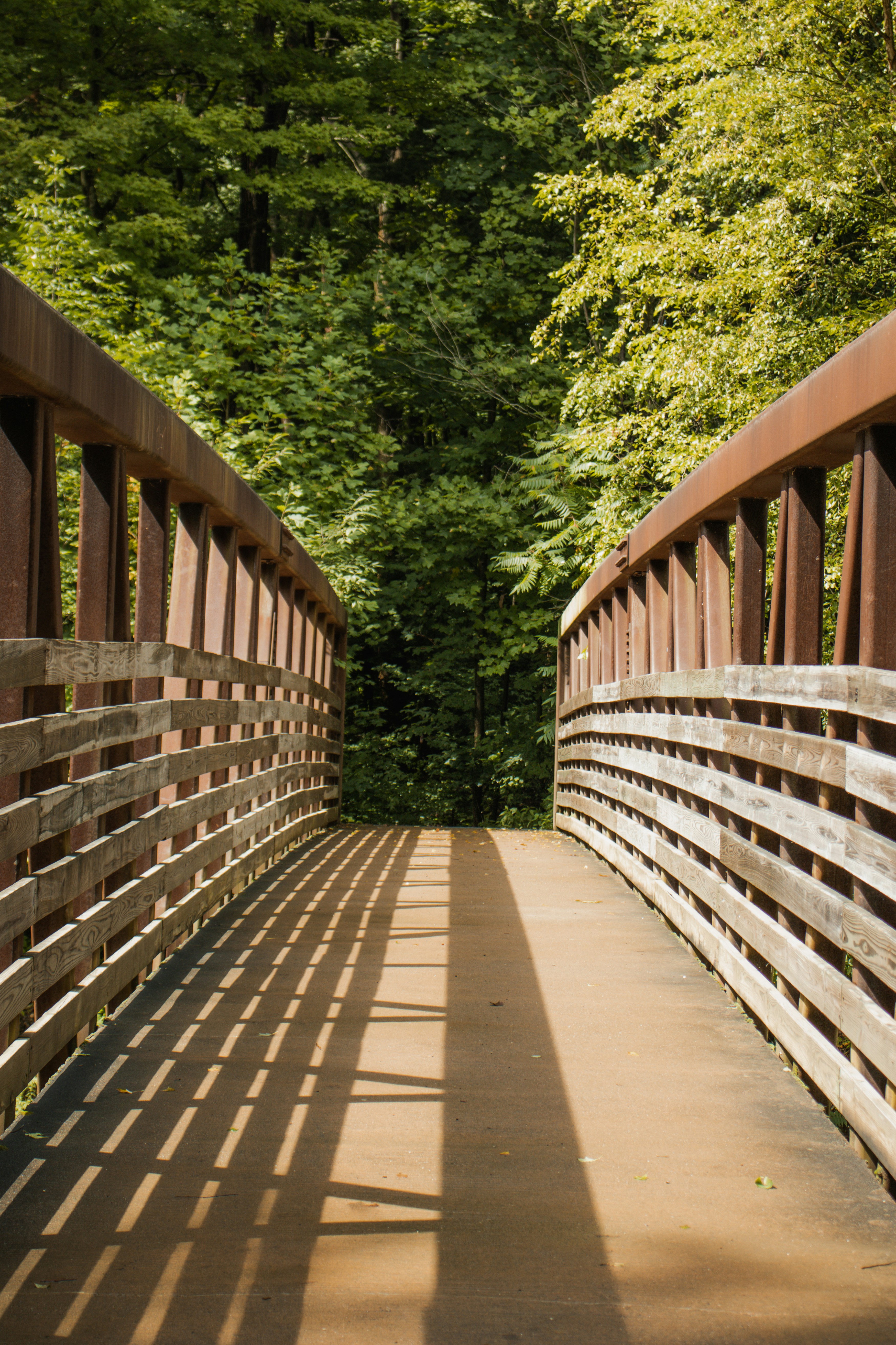 A wooden bridge with a railing photo – Free #nature Image on Unsplash