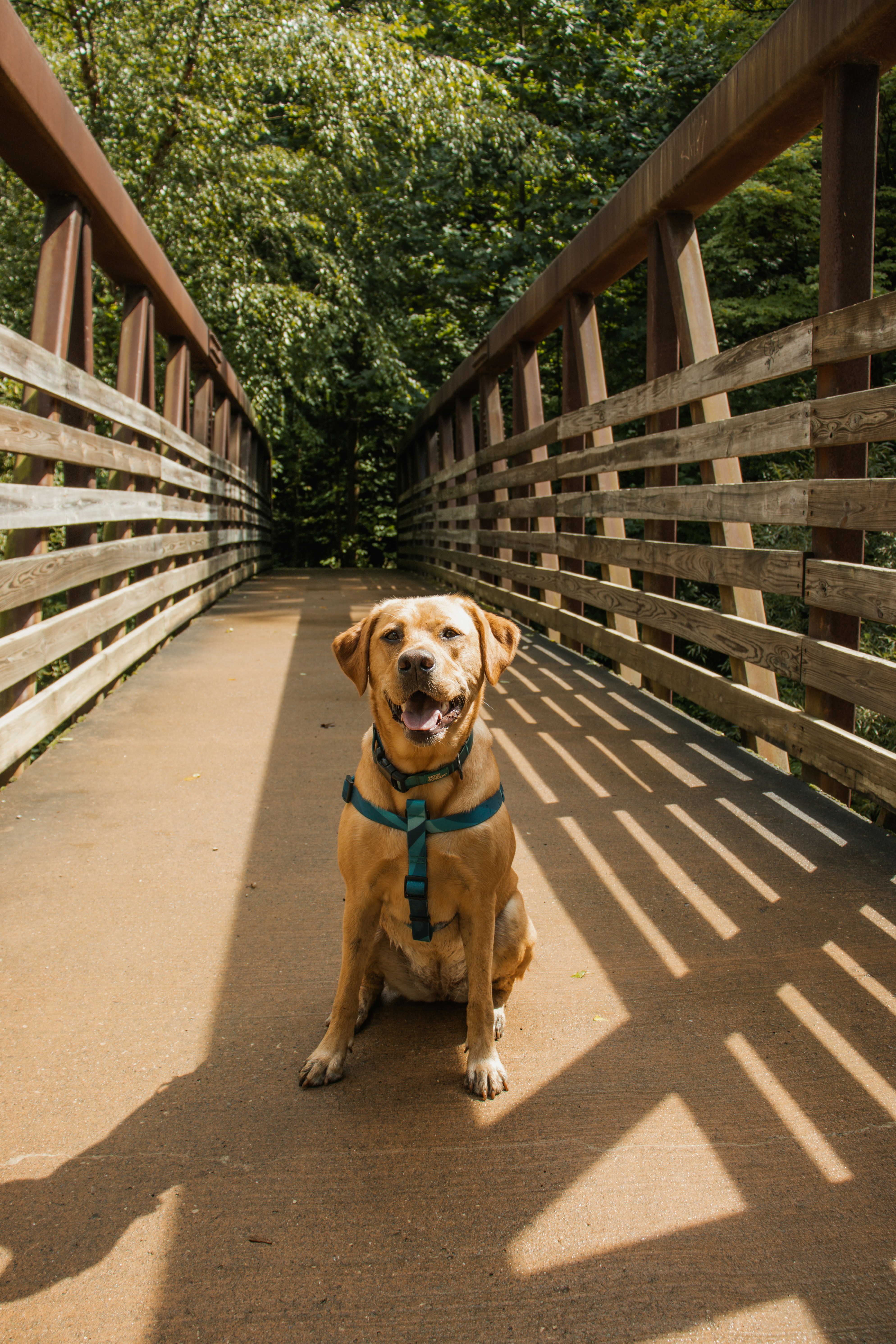 Photo by Sydney Moore with Canon EOS 250D