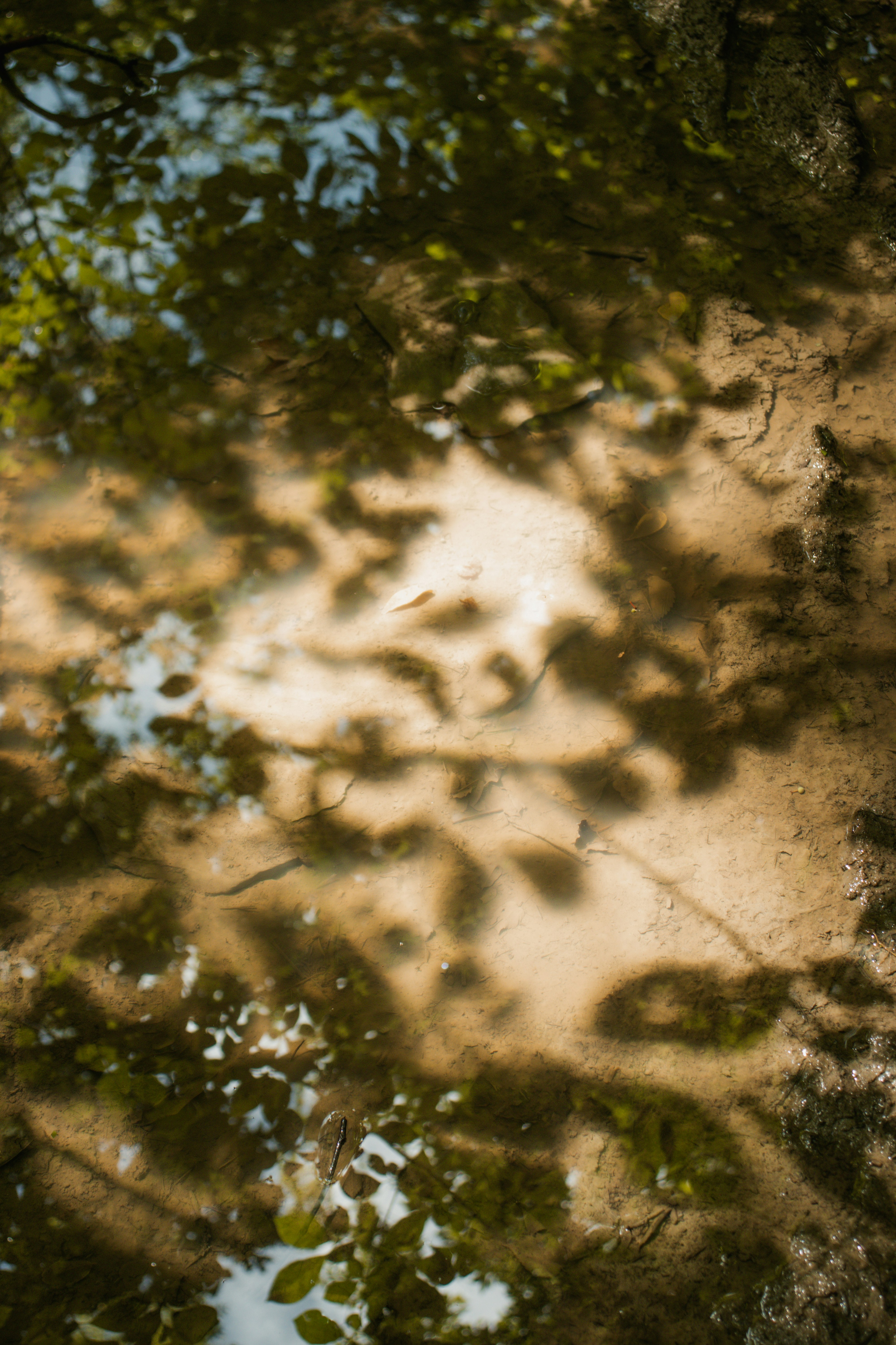 Shadowplay Over a Sandy Mirror